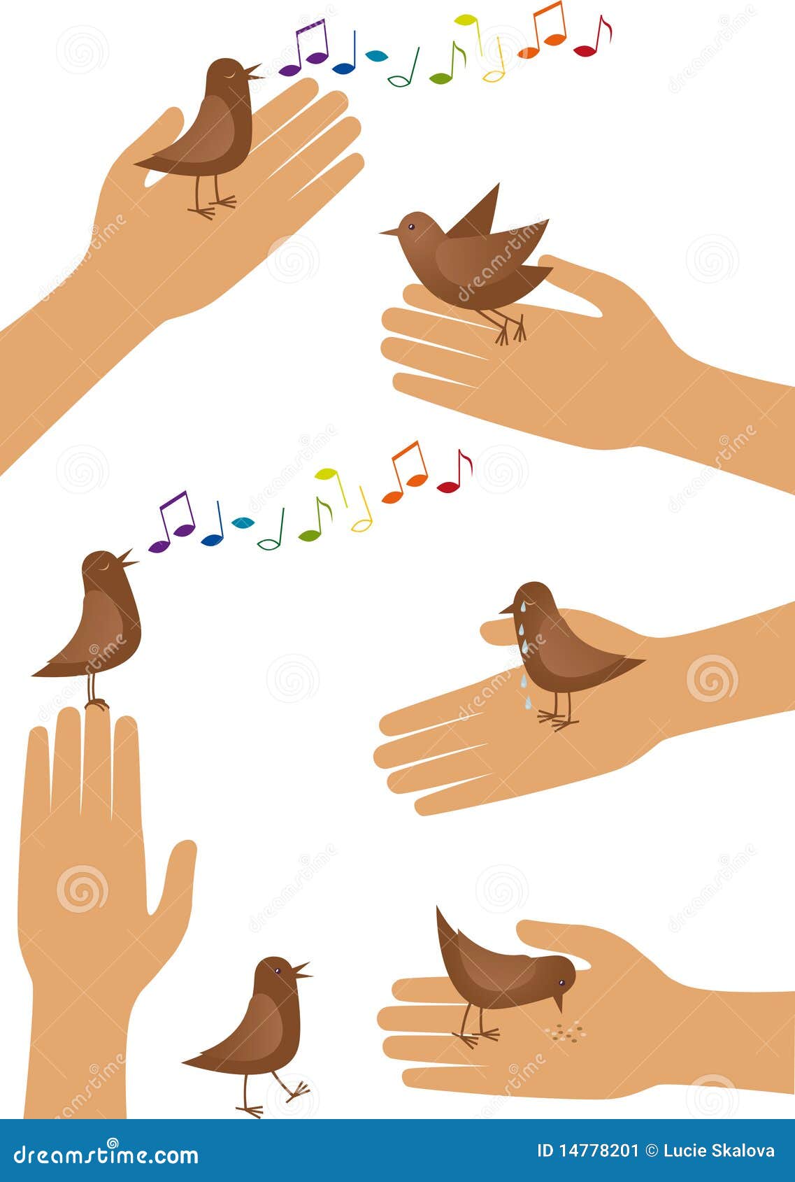 Bird and hand stock vector. Illustration of standing - 14778201