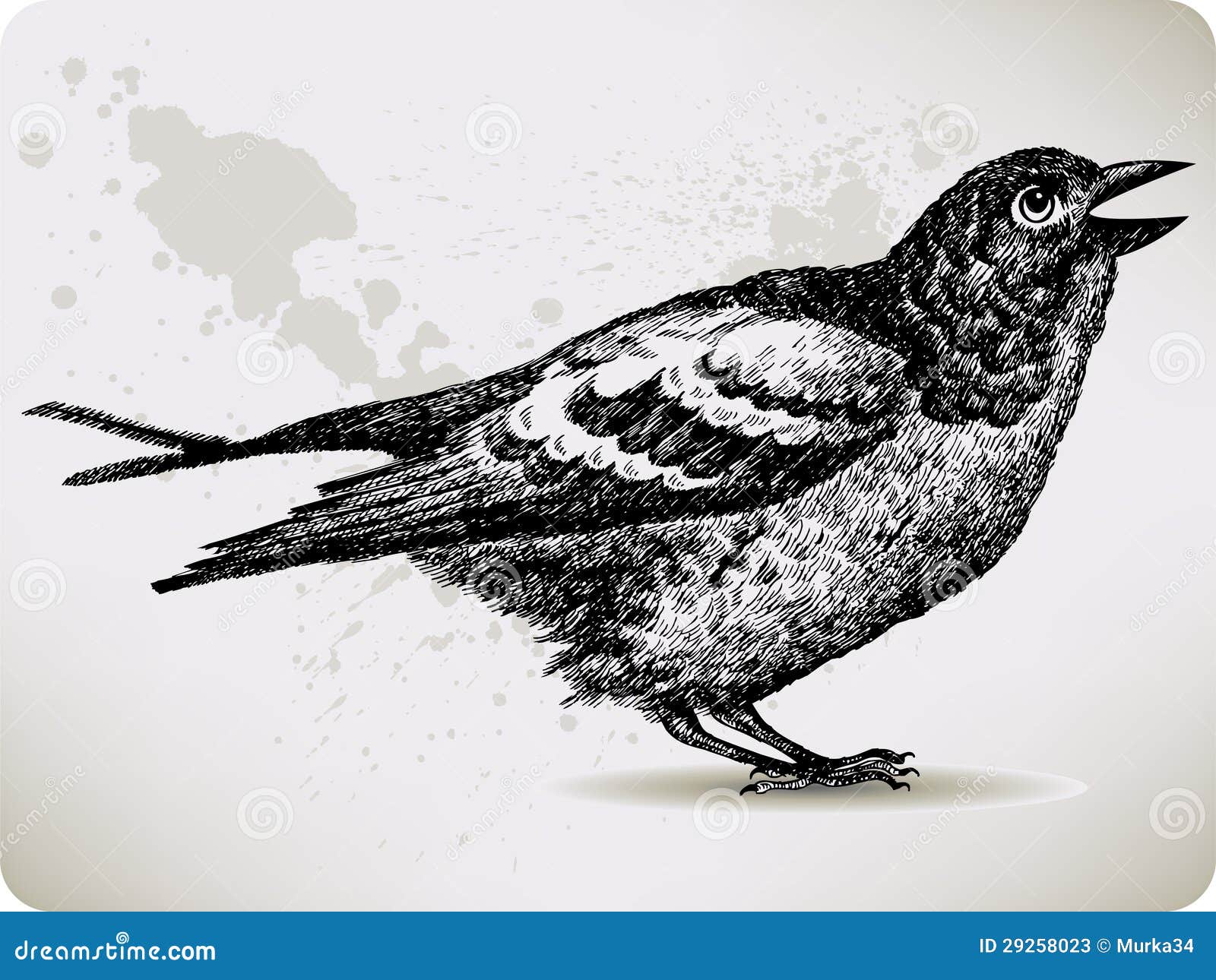 Bird, hand-drawing. stock vector. Illustration of bird - 29258023