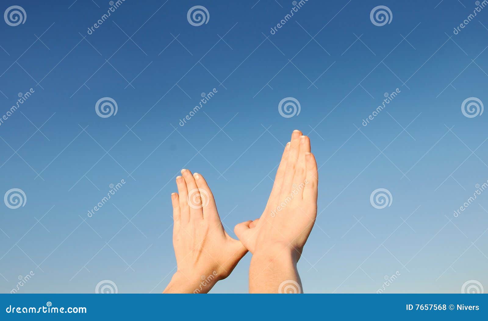 Bird hands stock photo. Image of peaceful, perspective - 7657568