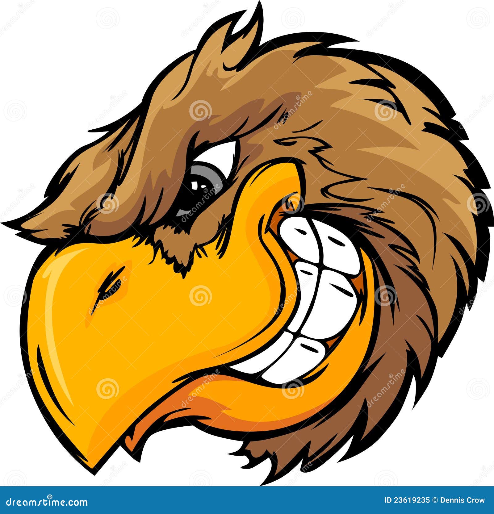 Bird Head Cartoon Illustration Royalty Free Stock Photo - Image: 23619235
