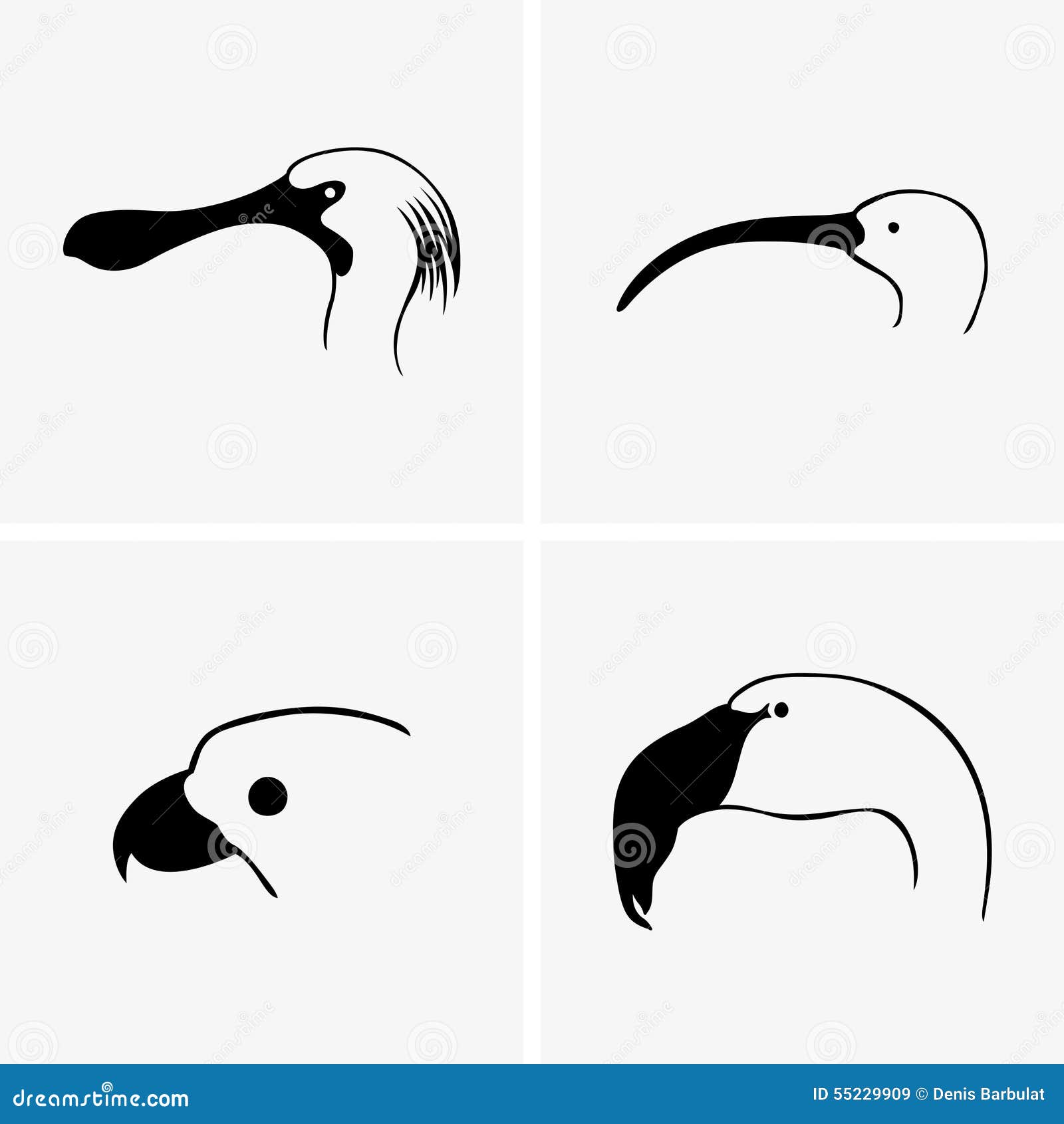 Bird heads stock vector. Illustration of head, wildlife - 55229909