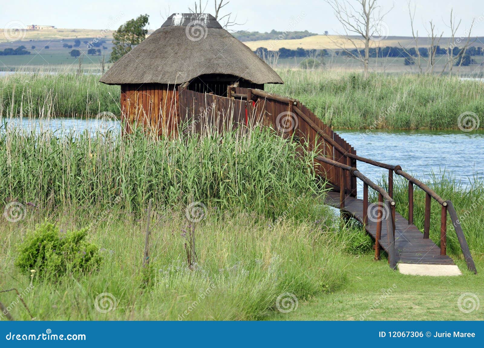 Bird Hide stock photo. Image of river, water, afrika - 12067306