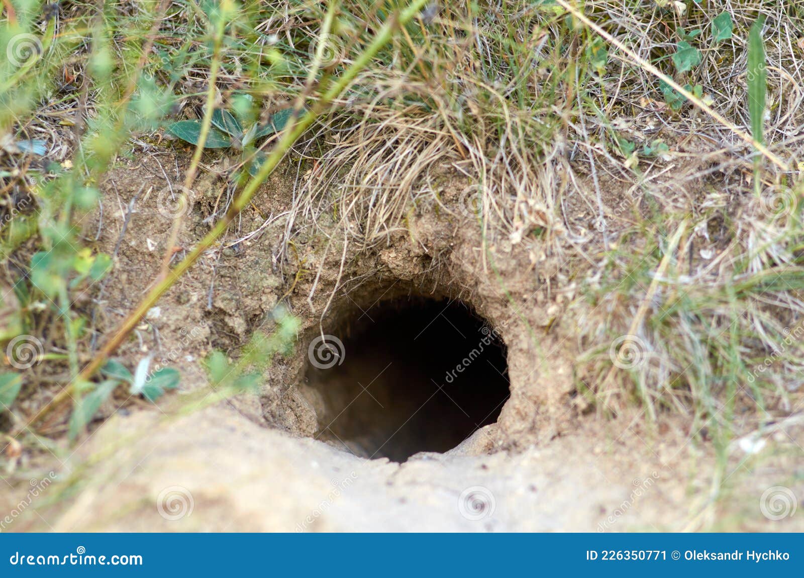 Bird hole in a cave quarry stock image. Image of outdoors - 226350771