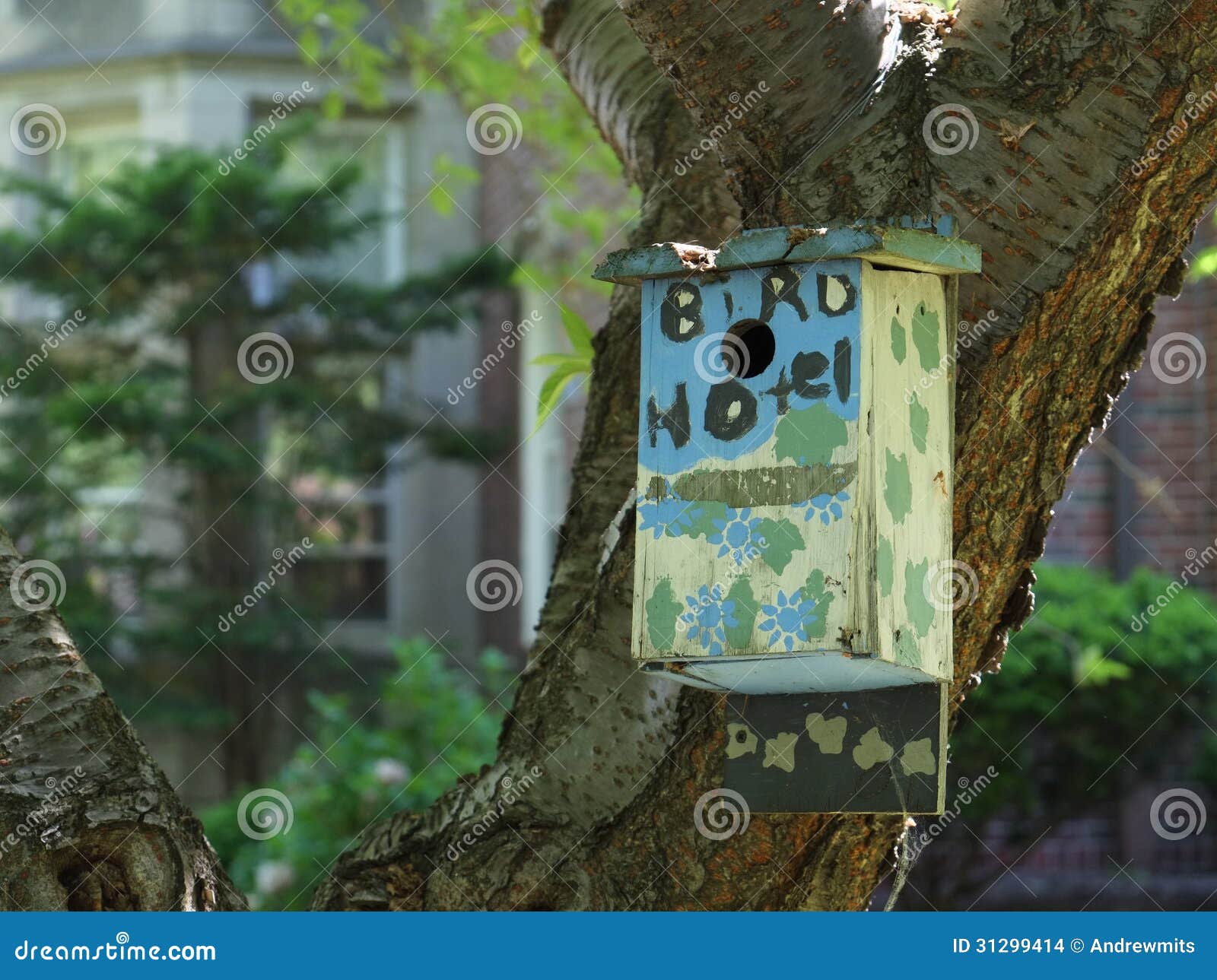 The Bird Hotel stock photo. Image of little, painted - 31299414