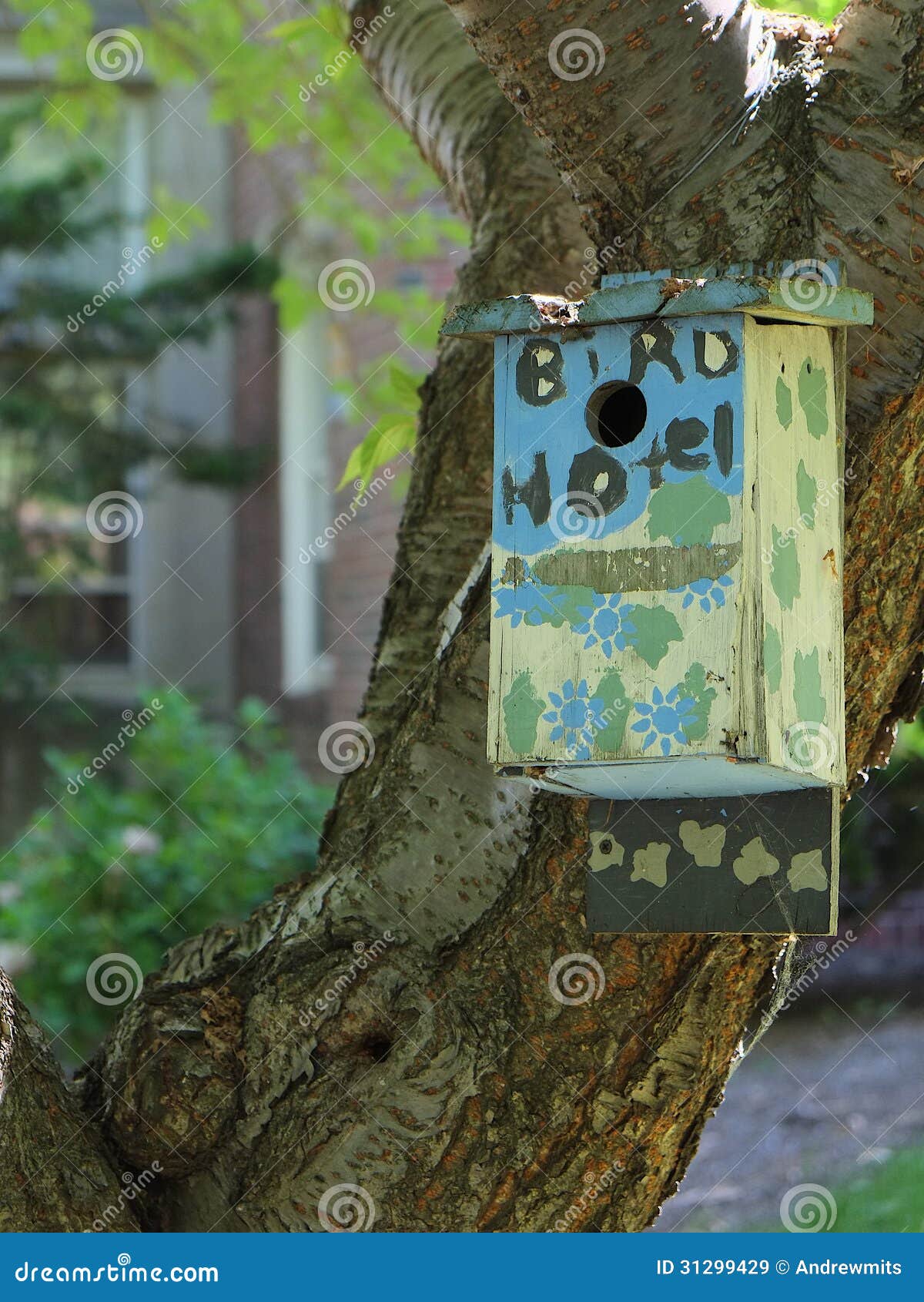 The Bird Hotel stock image. Image of colorful, little - 31299429