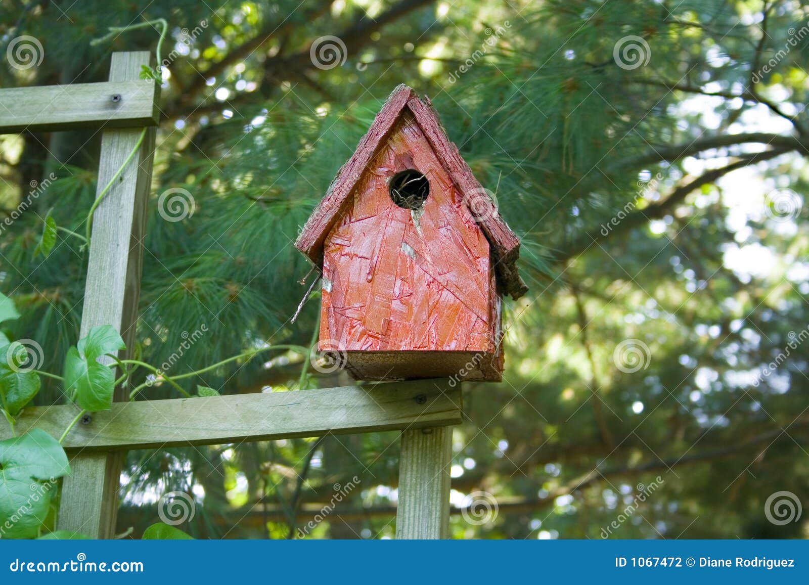 Bird House stock photo. Image of park, forest, hole, treetop - 1067472