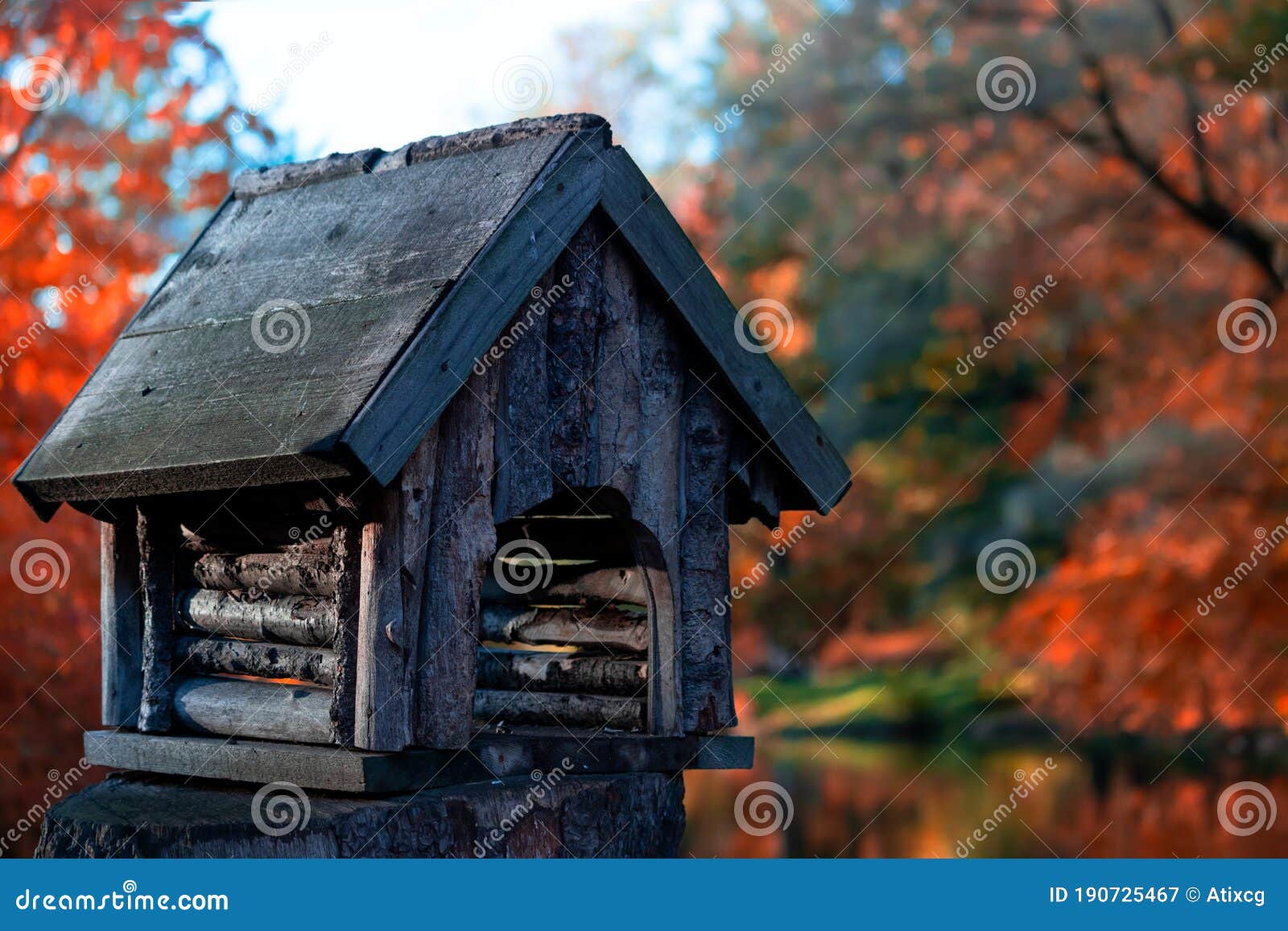 Bird House in Autumn in the Park Stock Image - Image of wooden, park ...