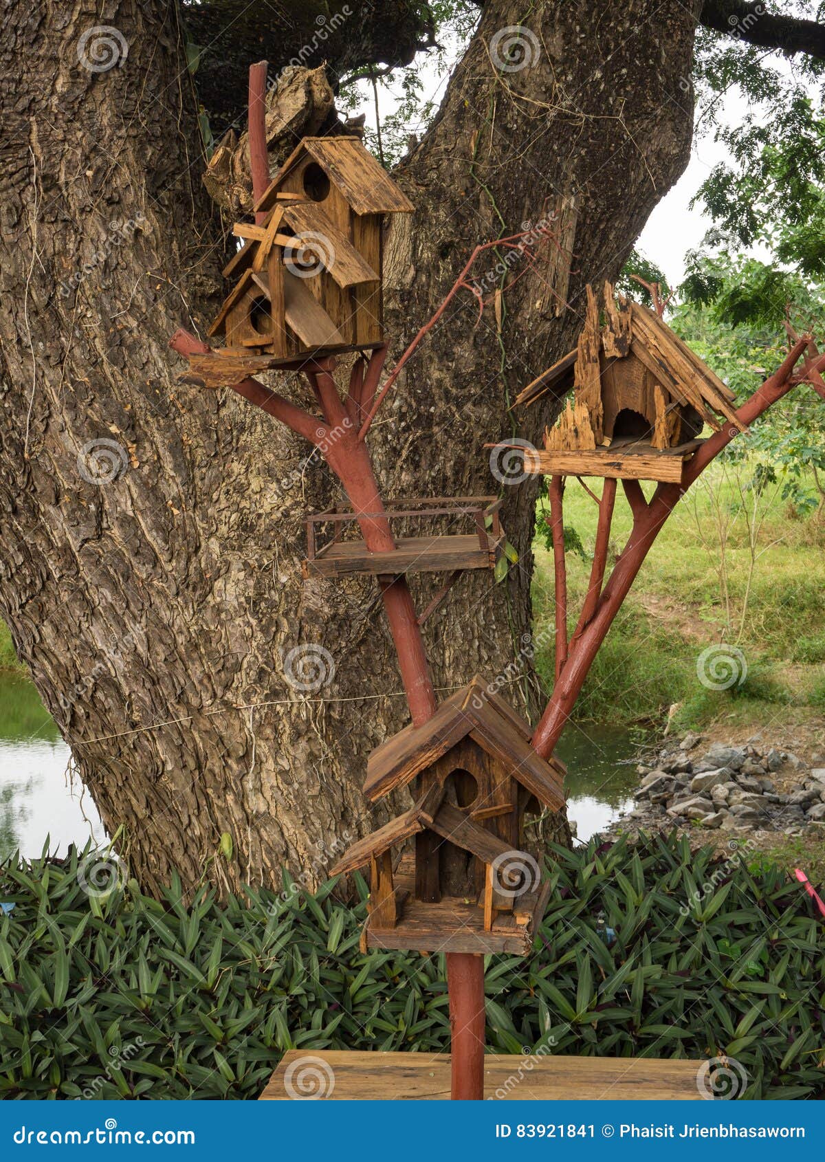 Bird house stock image. Image of outdoor, trunk, birdhouse - 83921841