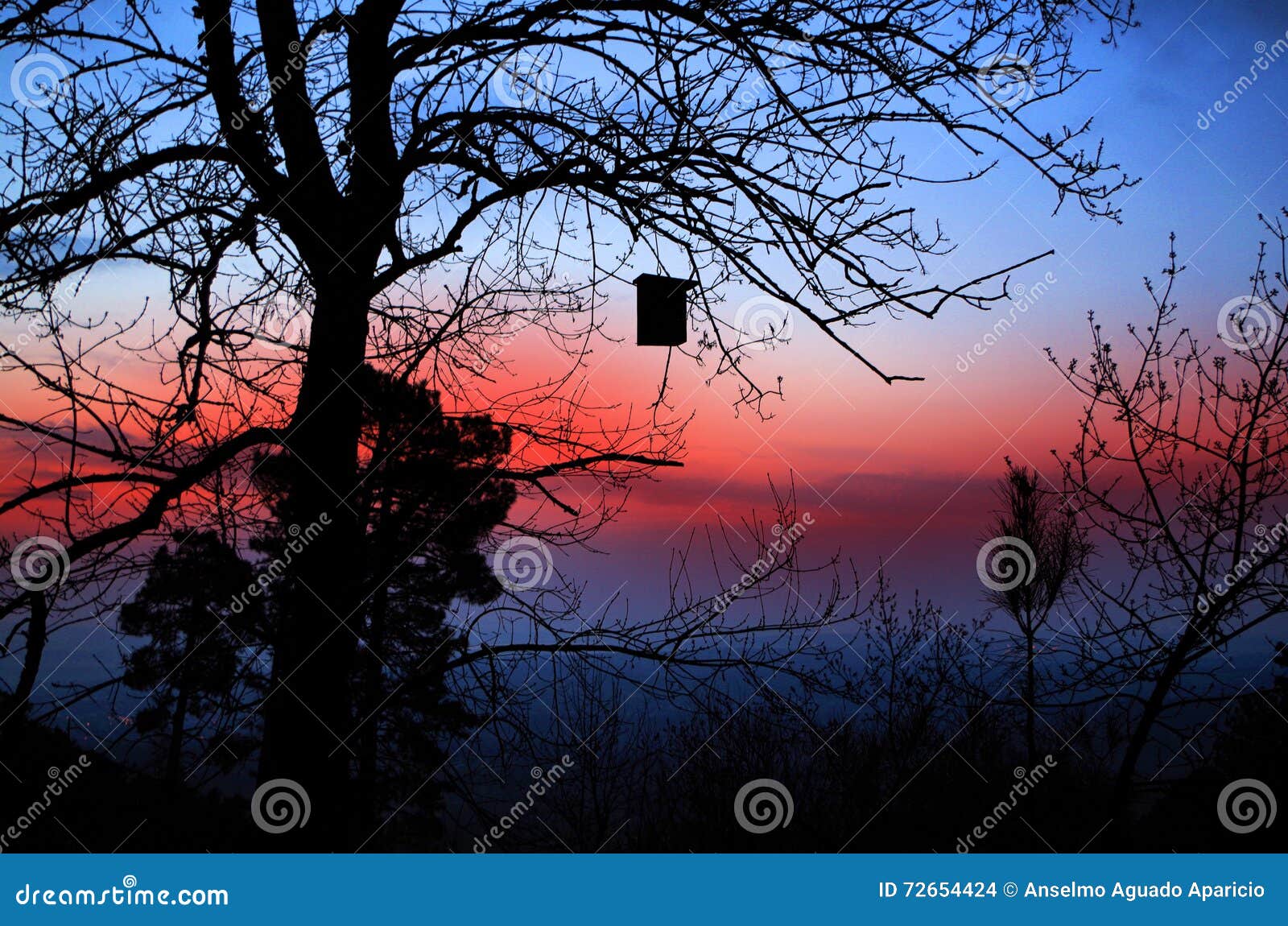 Bird house dawn abantos stock photo. Image of mount, abantos - 72654424