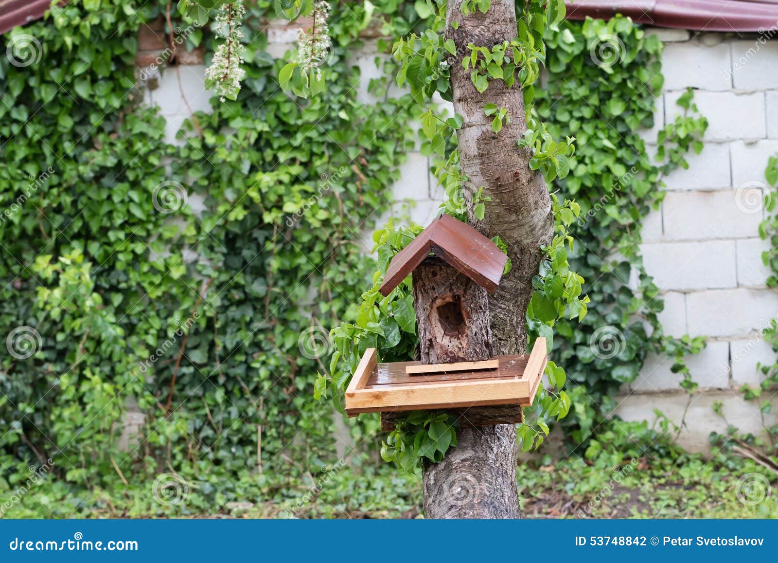 Bird House stock photo. Image of cherry, branch, decoration - 53748842