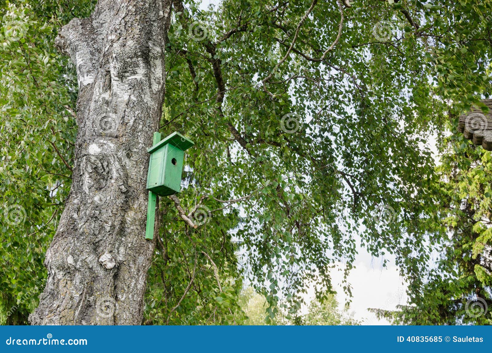 Bird House Nesting-box Hang on Birch Tree Trunk Stock Image - Image of ...