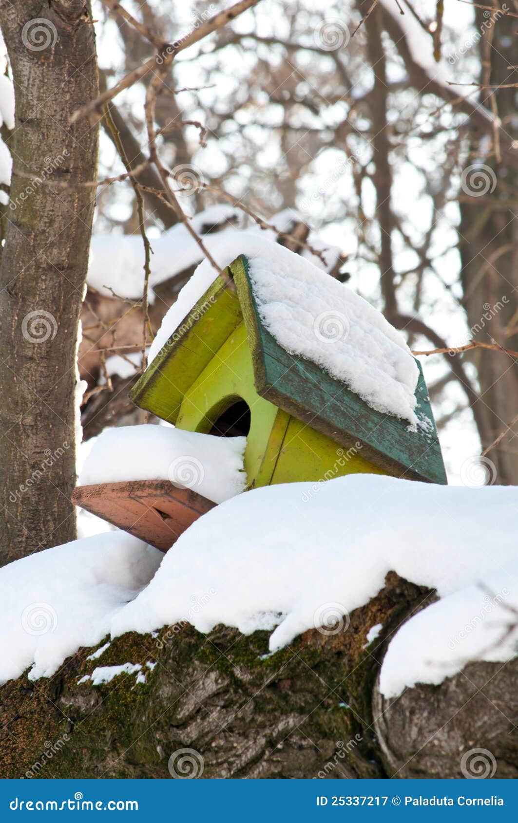 Bird house with snow stock image. Image of rustic, seasonal - 25337217