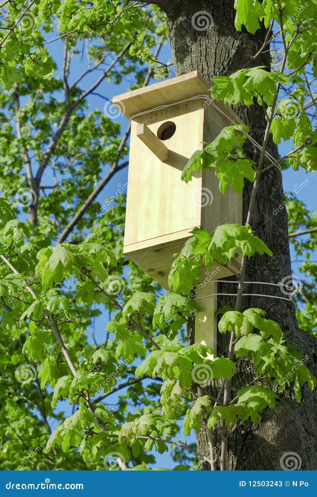 Bird House in the Spring Park Stock Image - Image of starling, green ...