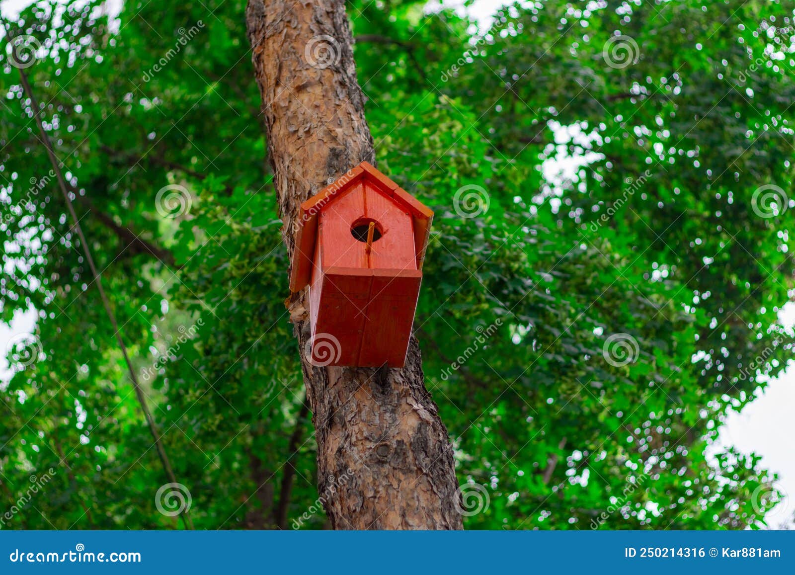 Bird house on a tree stock photo. Image of colorful - 250214316