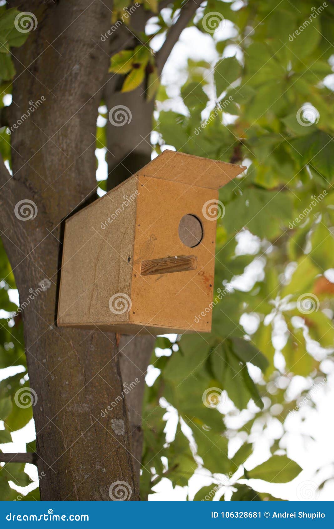 Bird-house on a tree stock image. Image of construction - 106328681