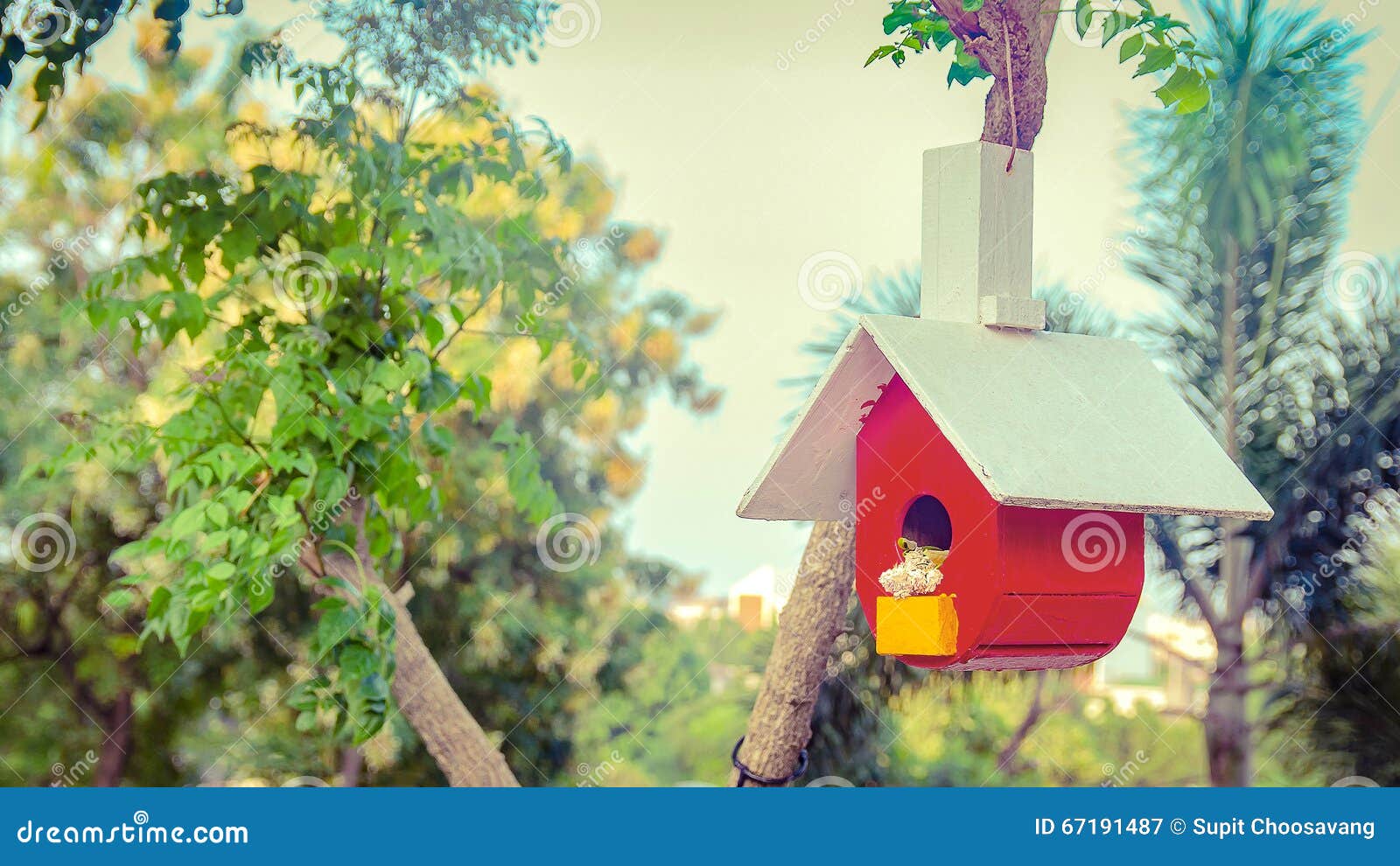 Bird House on Tree in the Garden Stock Image - Image of tree, home ...