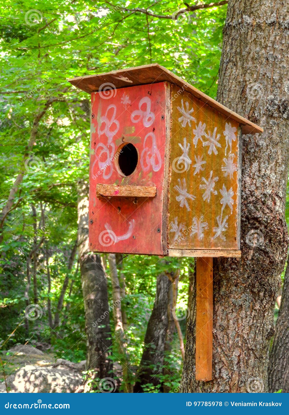 Bird house on the tree stock photo. Image of nature, wildlife - 97785978