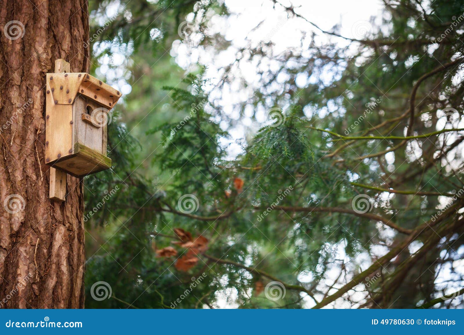 Bird house, tree stock photo. Image of shelter, wood - 49780630