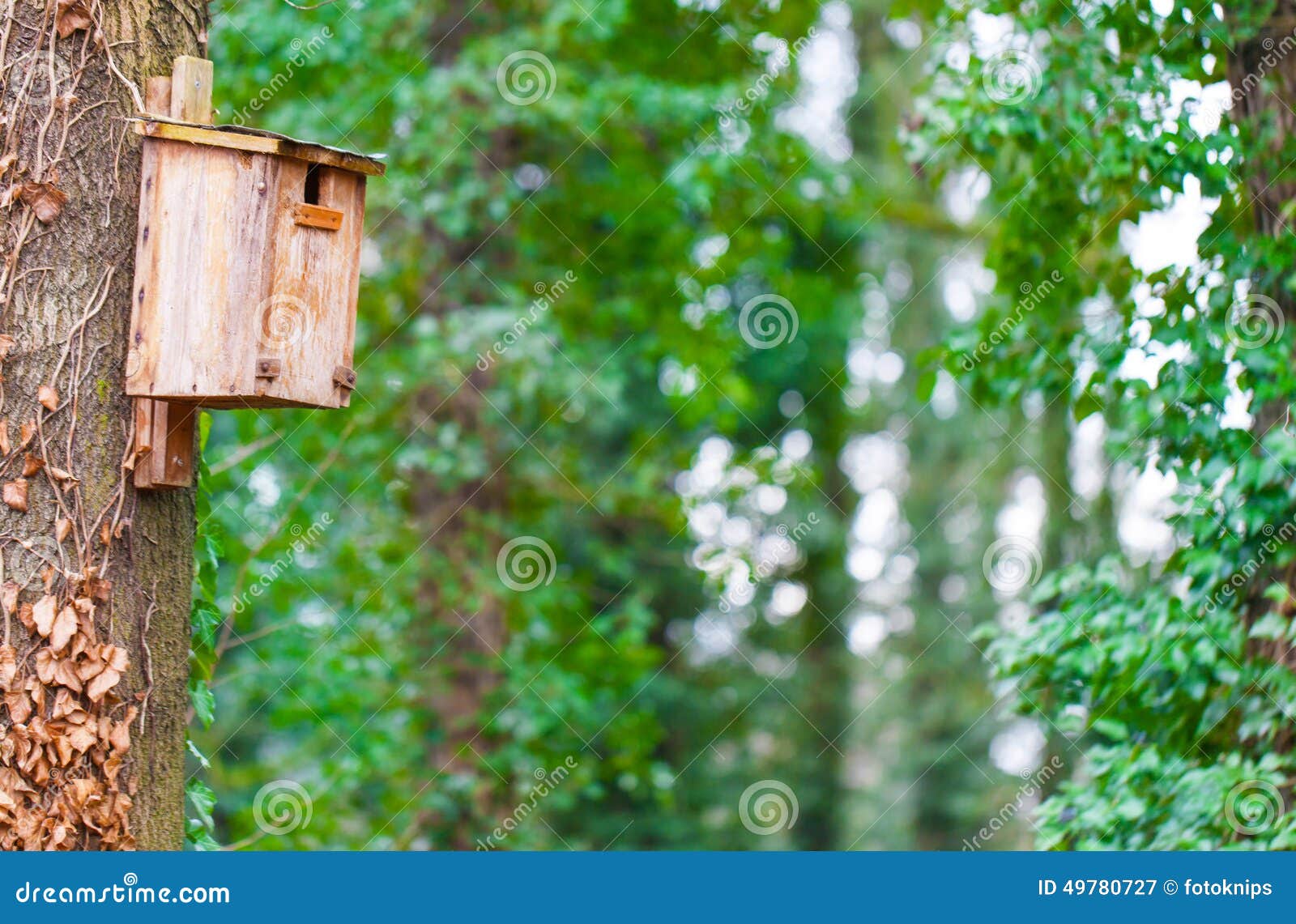 Bird house, tree stock image. Image of park, bird, forest - 49780727