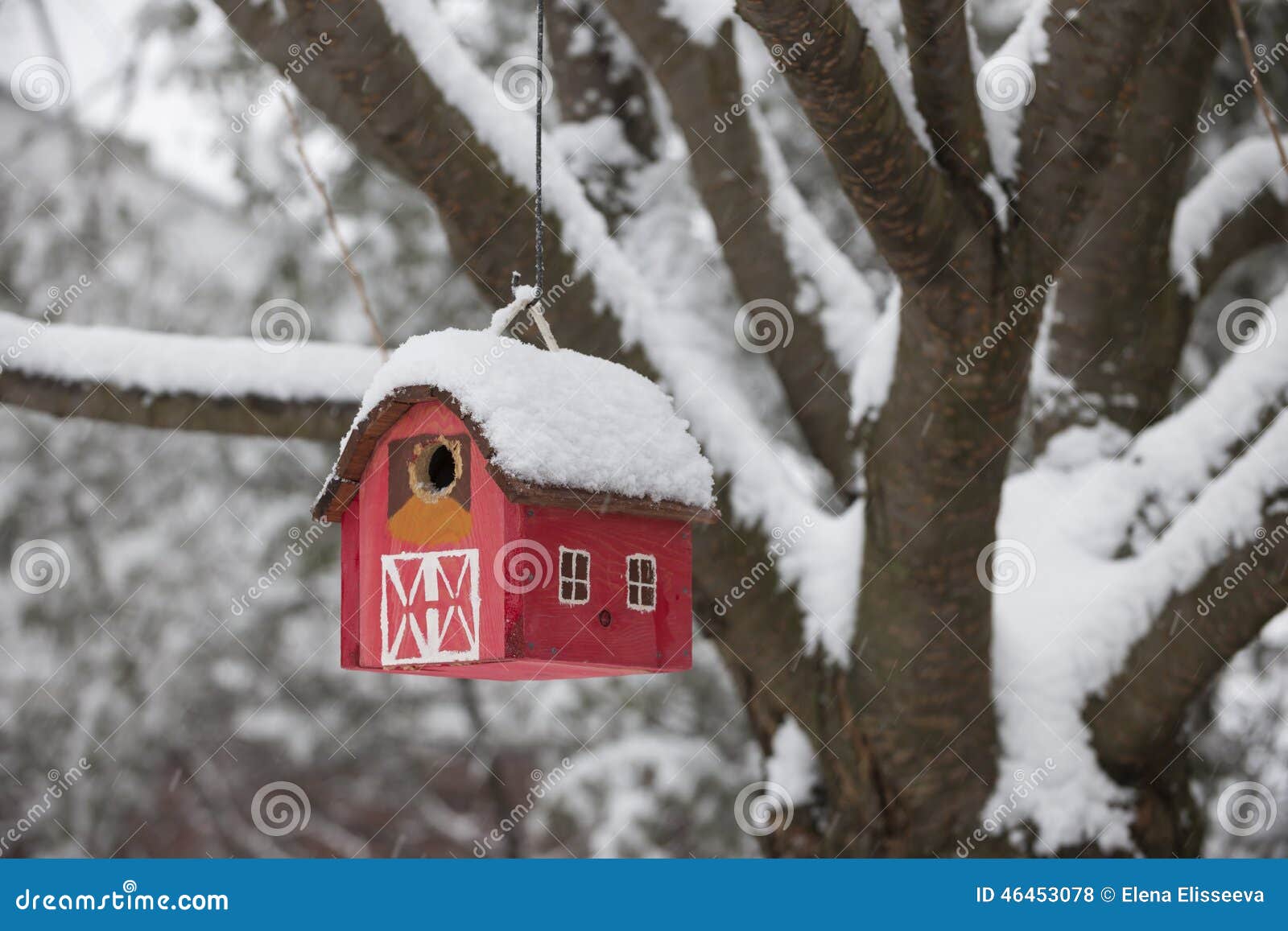 Bird House on Tree in Winter Stock Photo - Image of cold, backyard ...