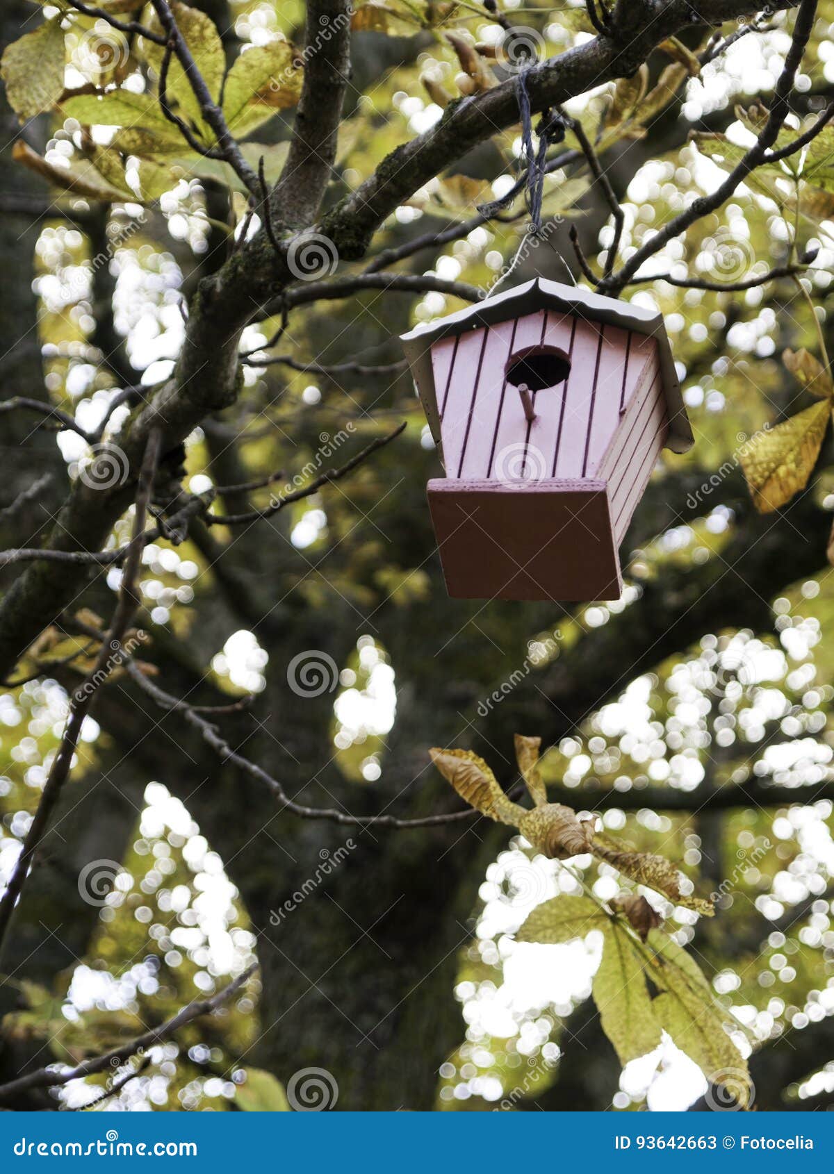 Bird house tree stock image. Image of hanging, decorative - 93642663