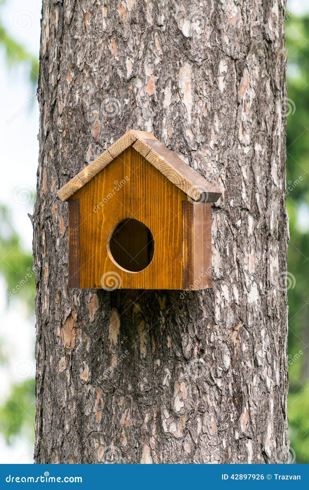 Bird house on a tree stock photo. Image of wildlife, outside - 42897926