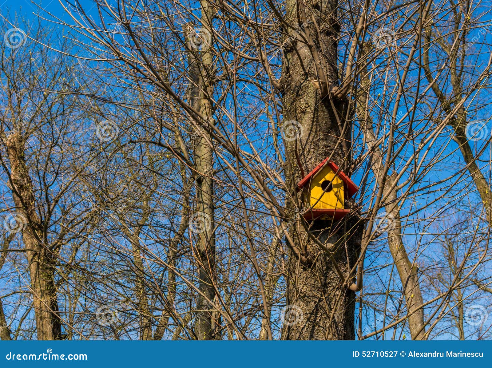 Bird house on a tree stock image. Image of sunny, time - 52710527