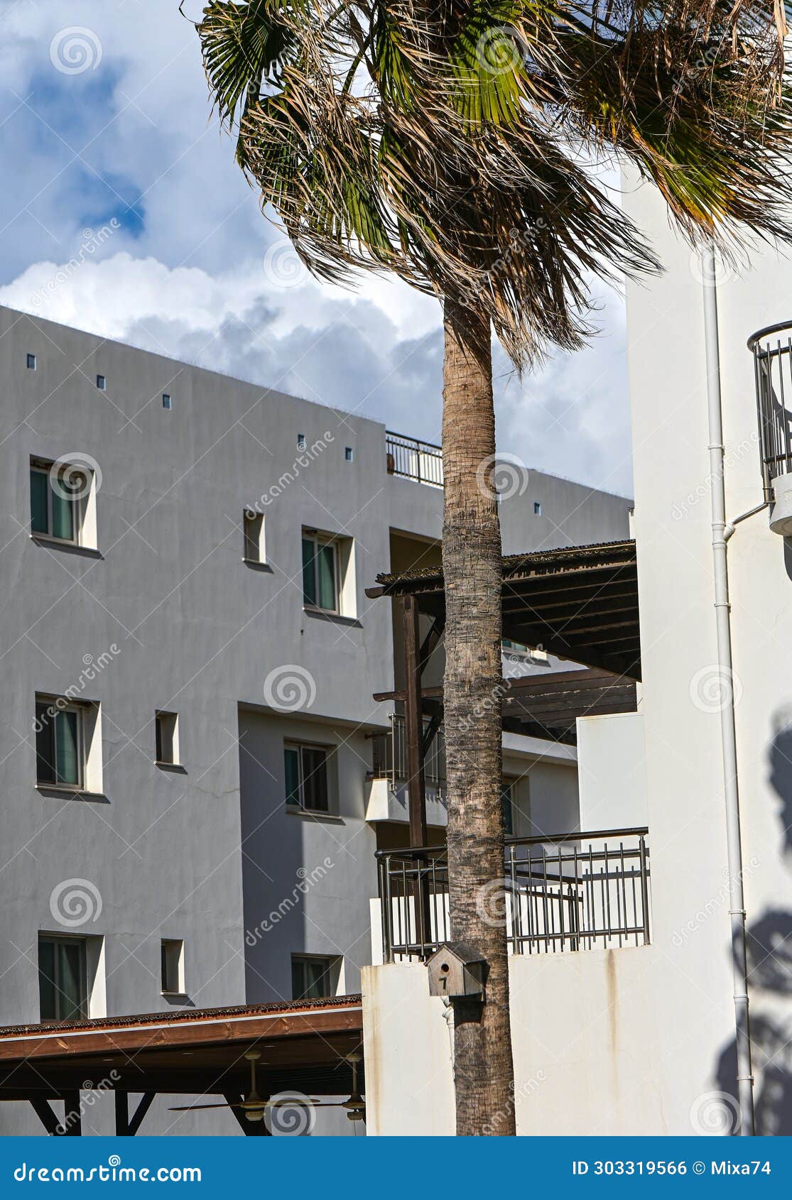 Bird House on a Tropical Palm Tree in a Residential Complex in Cyprus 2 ...