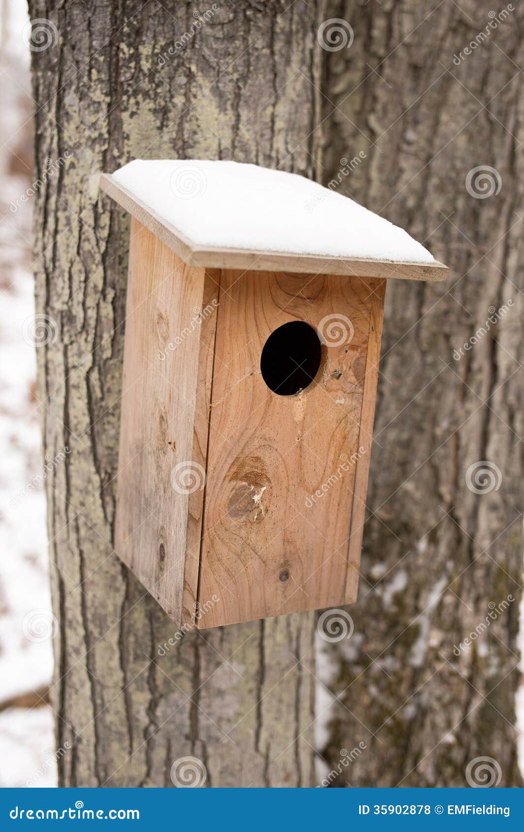 Bird house in winter stock photo. Image of woods, wood - 35902878