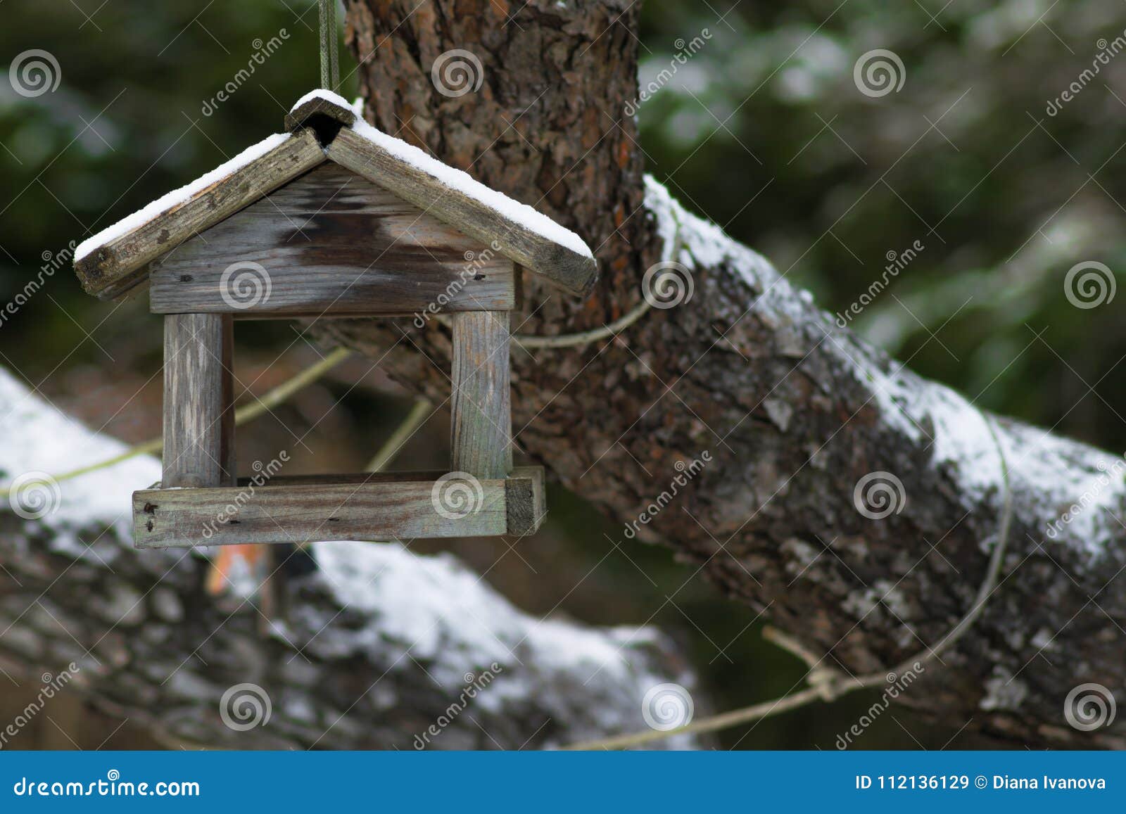 Bird house in winter stock image. Image of brown, housing - 112136129