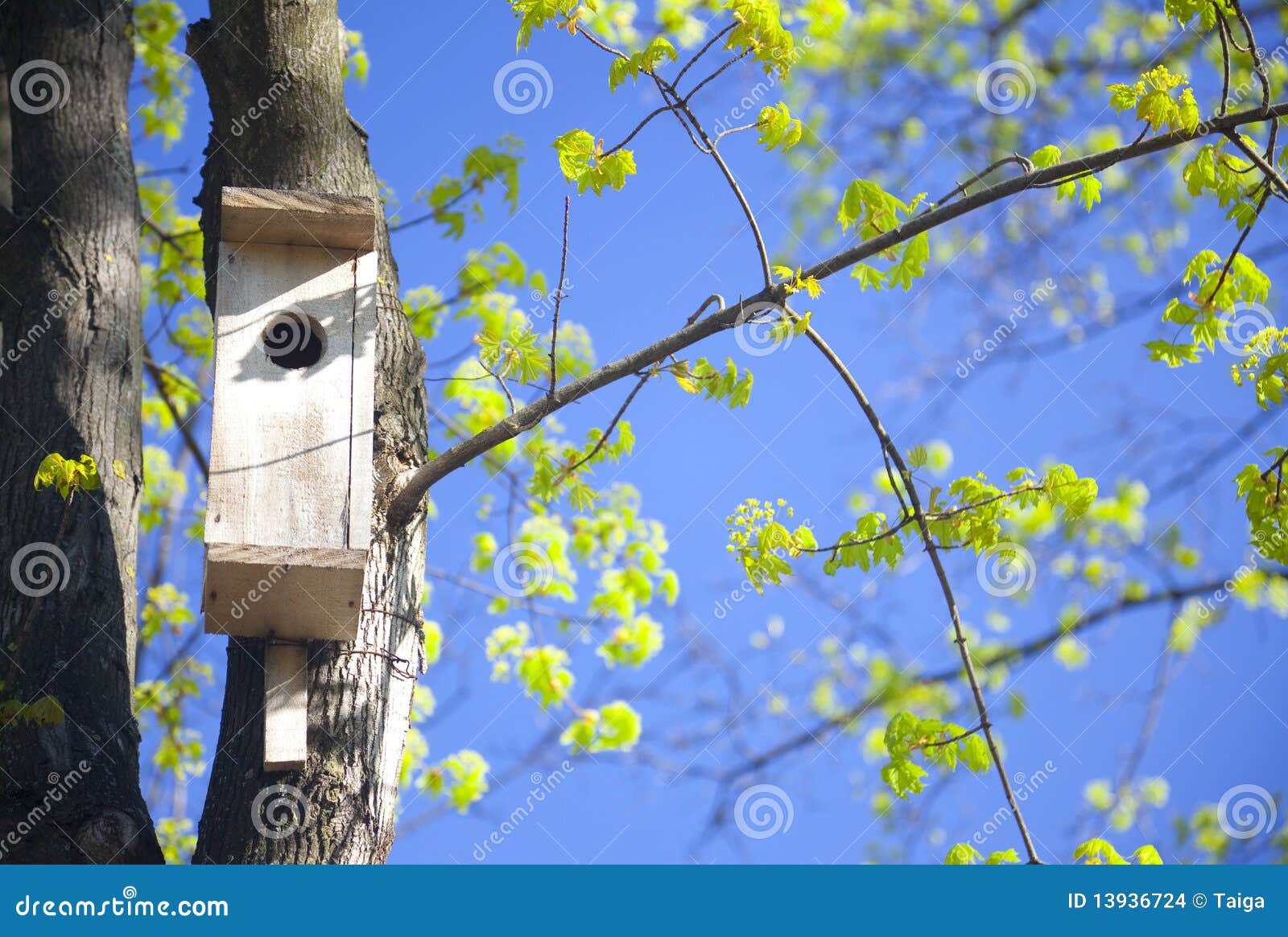 Bird House and Young Spring Leaves Stock Photo - Image of nesting ...
