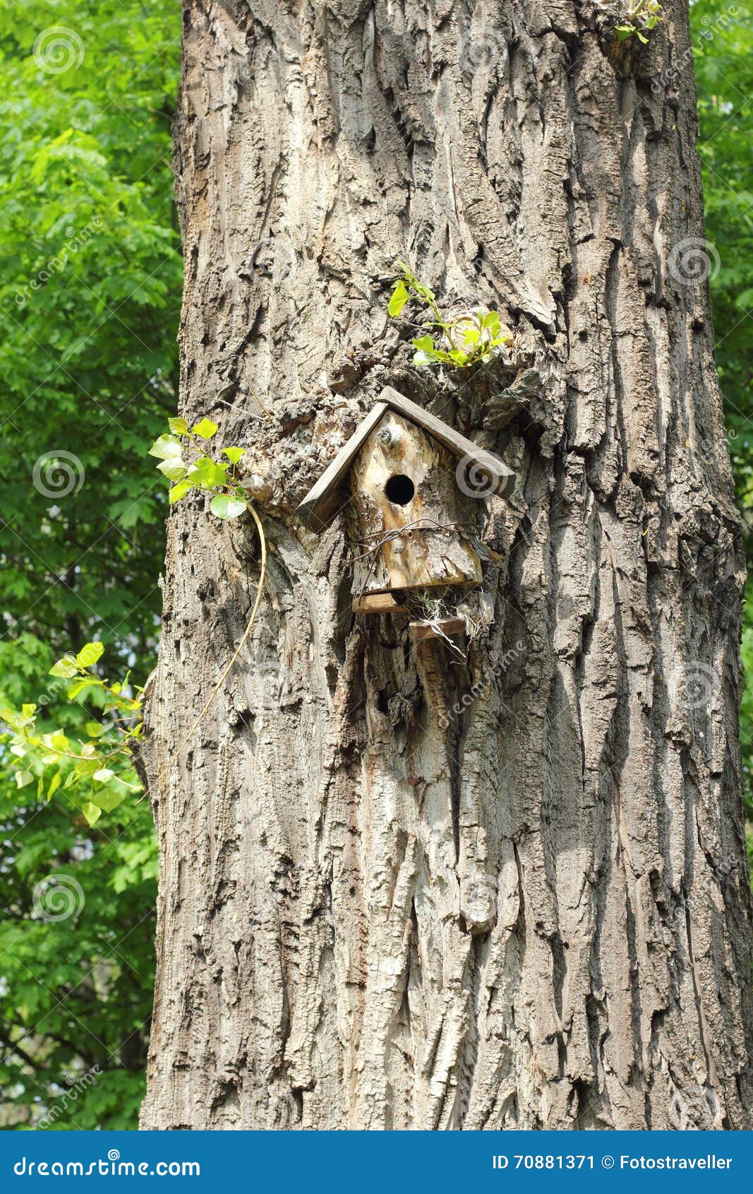 Bird houses made of wood stock image. Image of birdhouse - 70881371