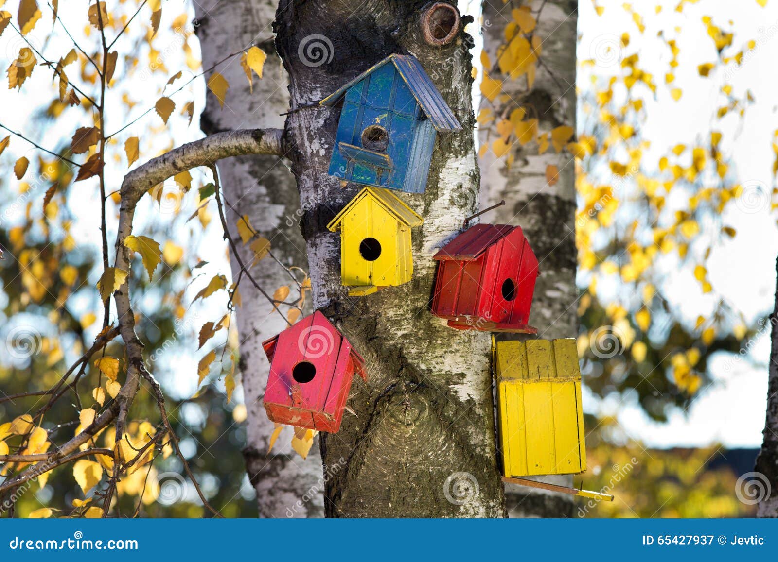 Bird houses on the tree stock image. Image of decorative - 65427937