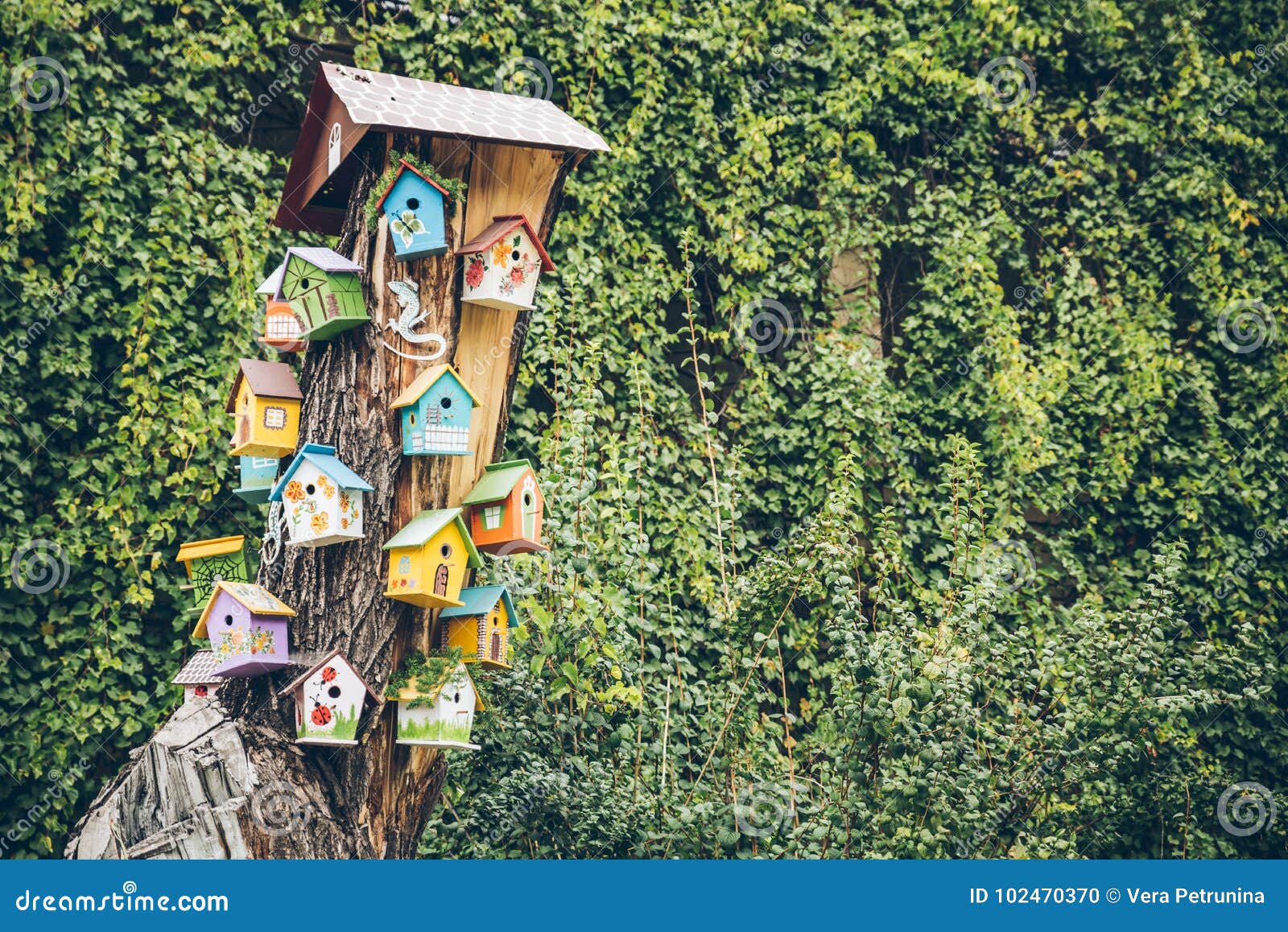 Bird houses on the tree stock photo. Image of moving - 102470370