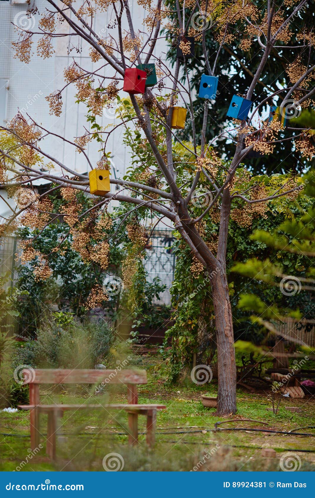 Bird houses on the trees stock image. Image of decoration - 89924381