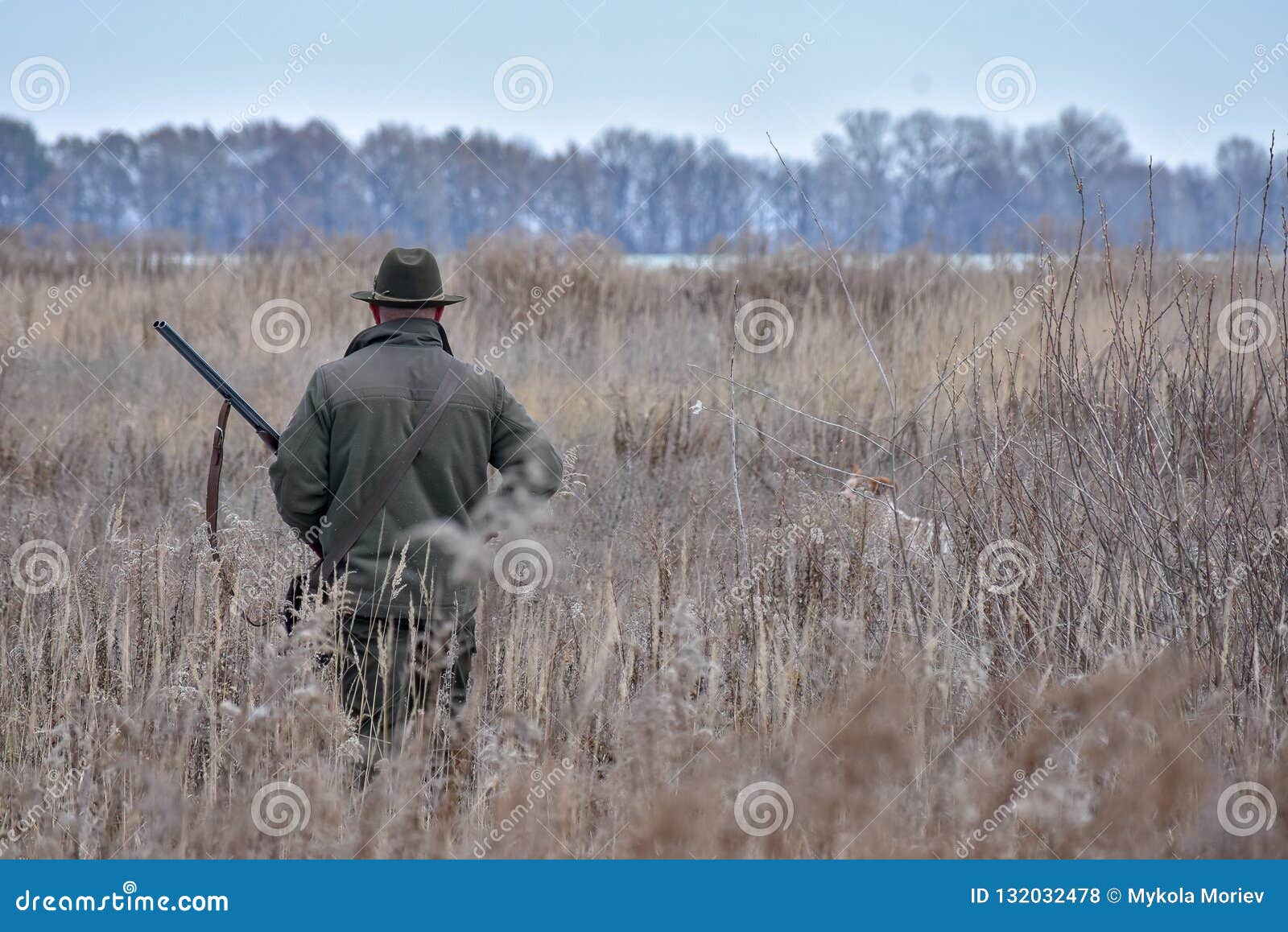 The Bird Hunter Walks Across The Field With His Dog On A Partridge Hunt ...