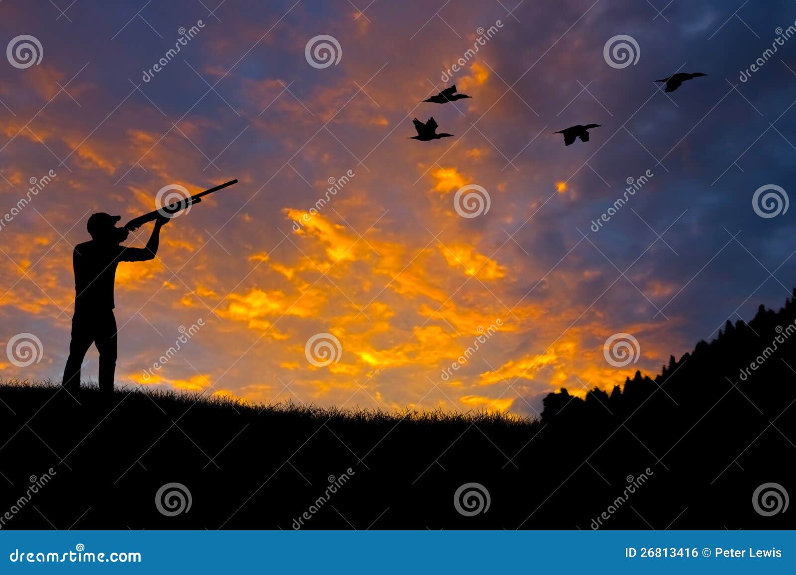 Bird Hunting Silhouette Royalty-Free Stock Image | CartoonDealer.com ...