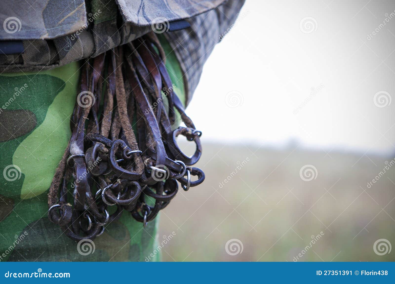 Bird hunting tackle stock image. Image of bird, buckle - 27351391