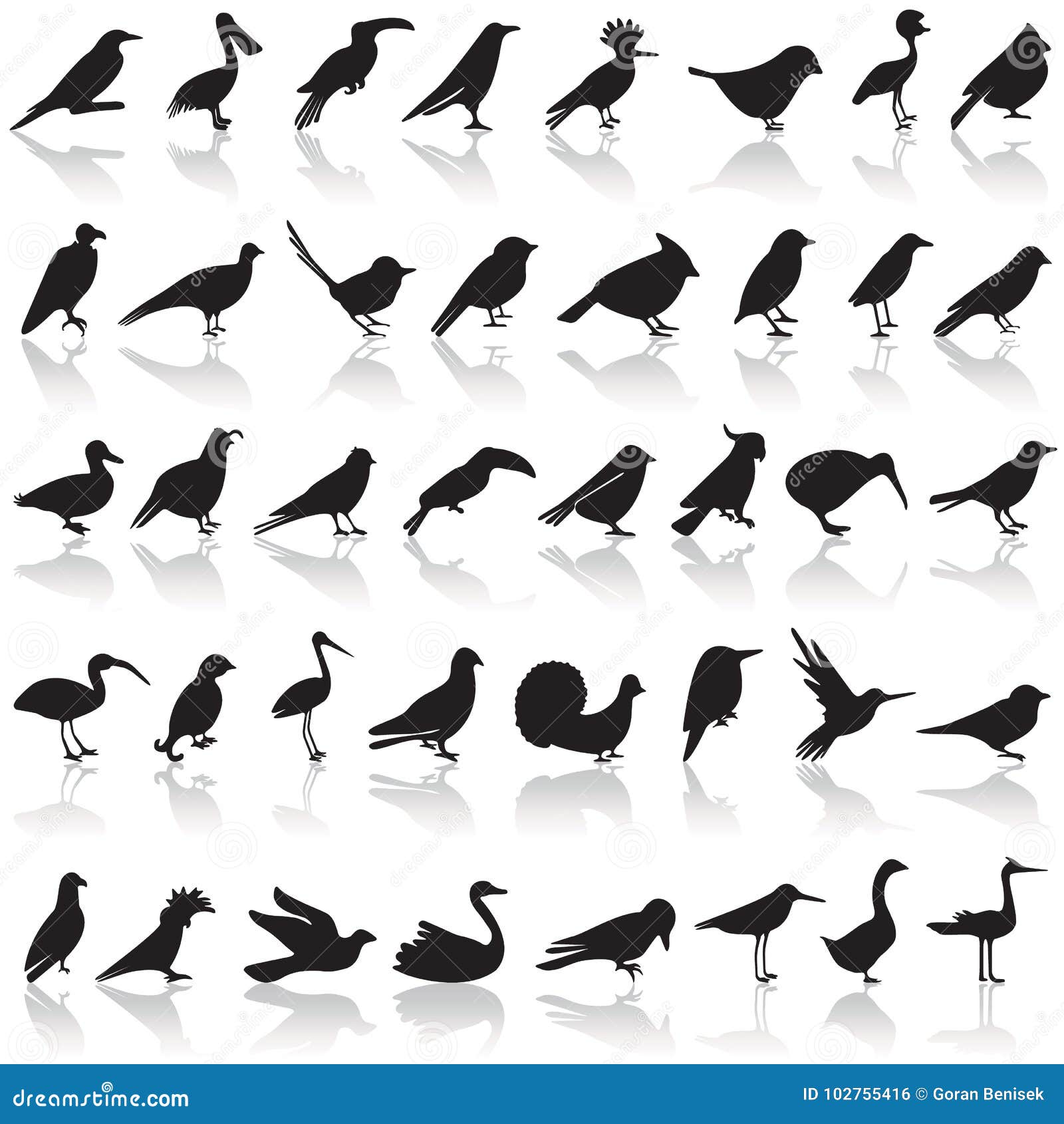 Bird icon set stock vector. Illustration of background - 102755416