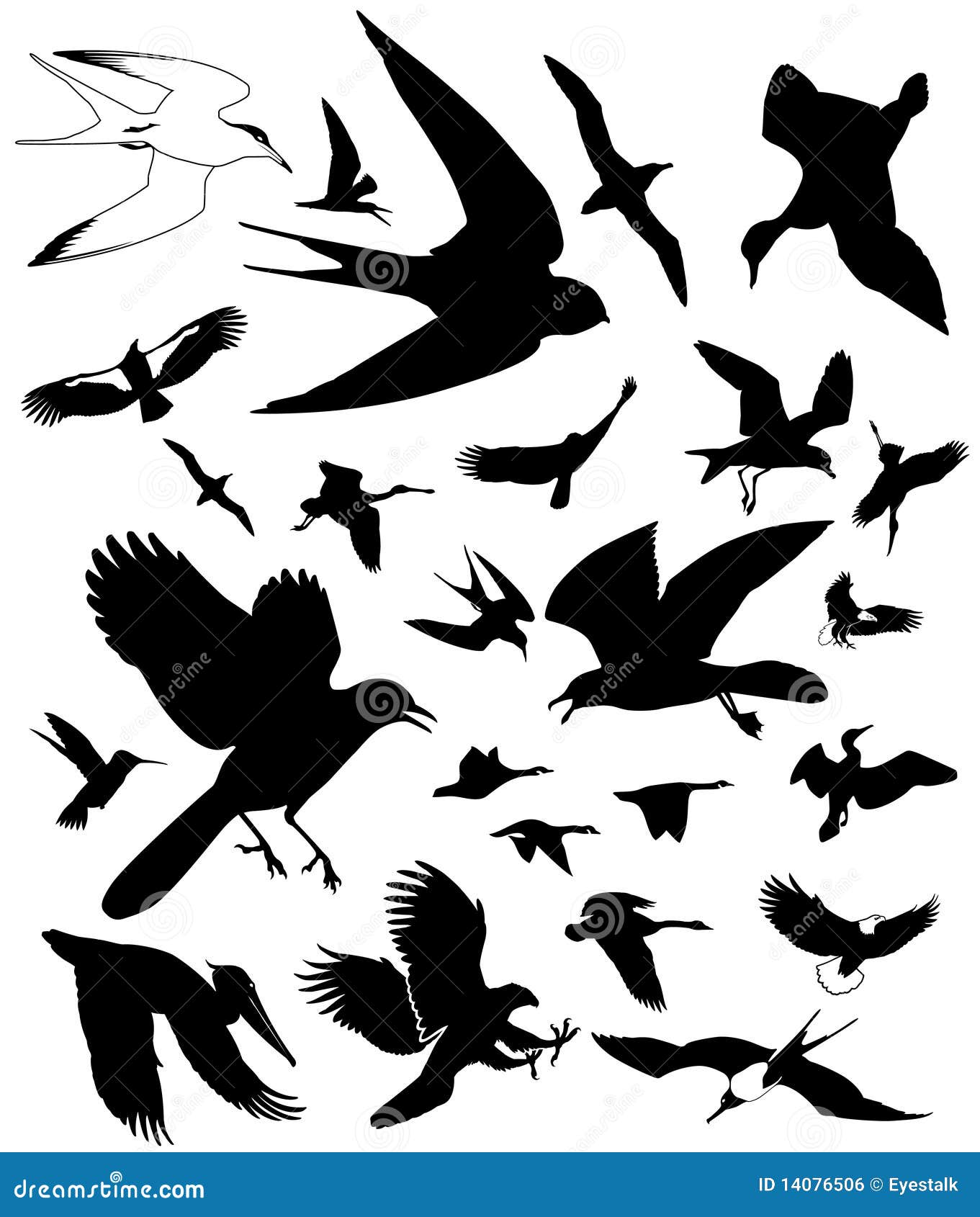 Bird Icons stock vector. Illustration of ornament, symbol - 14076506