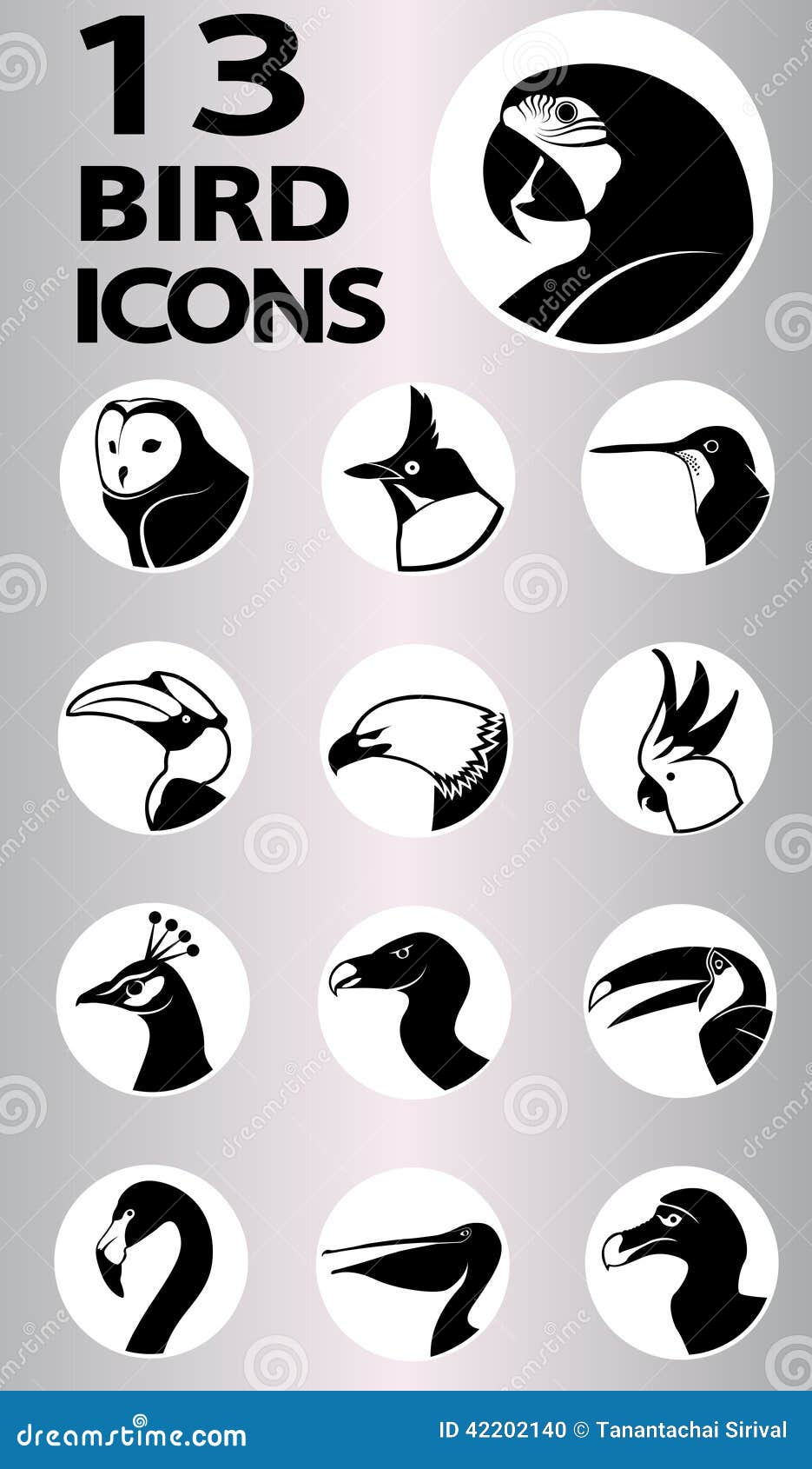 Bird icons collection stock vector. Illustration of button - 42202140