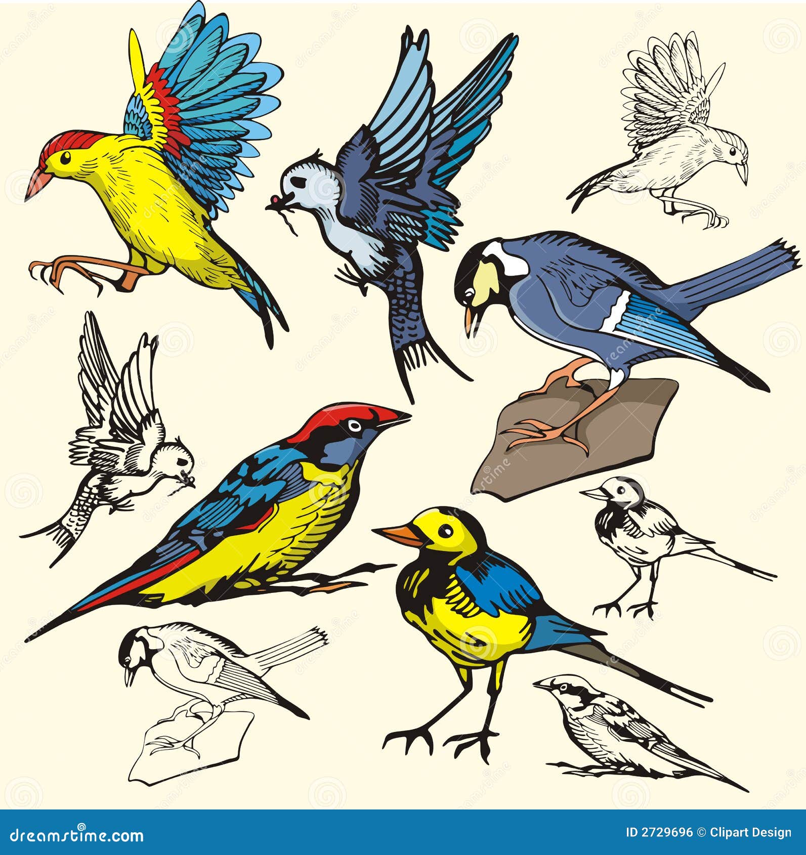 Bird illustration series stock vector. Illustration of ecology - 2729696