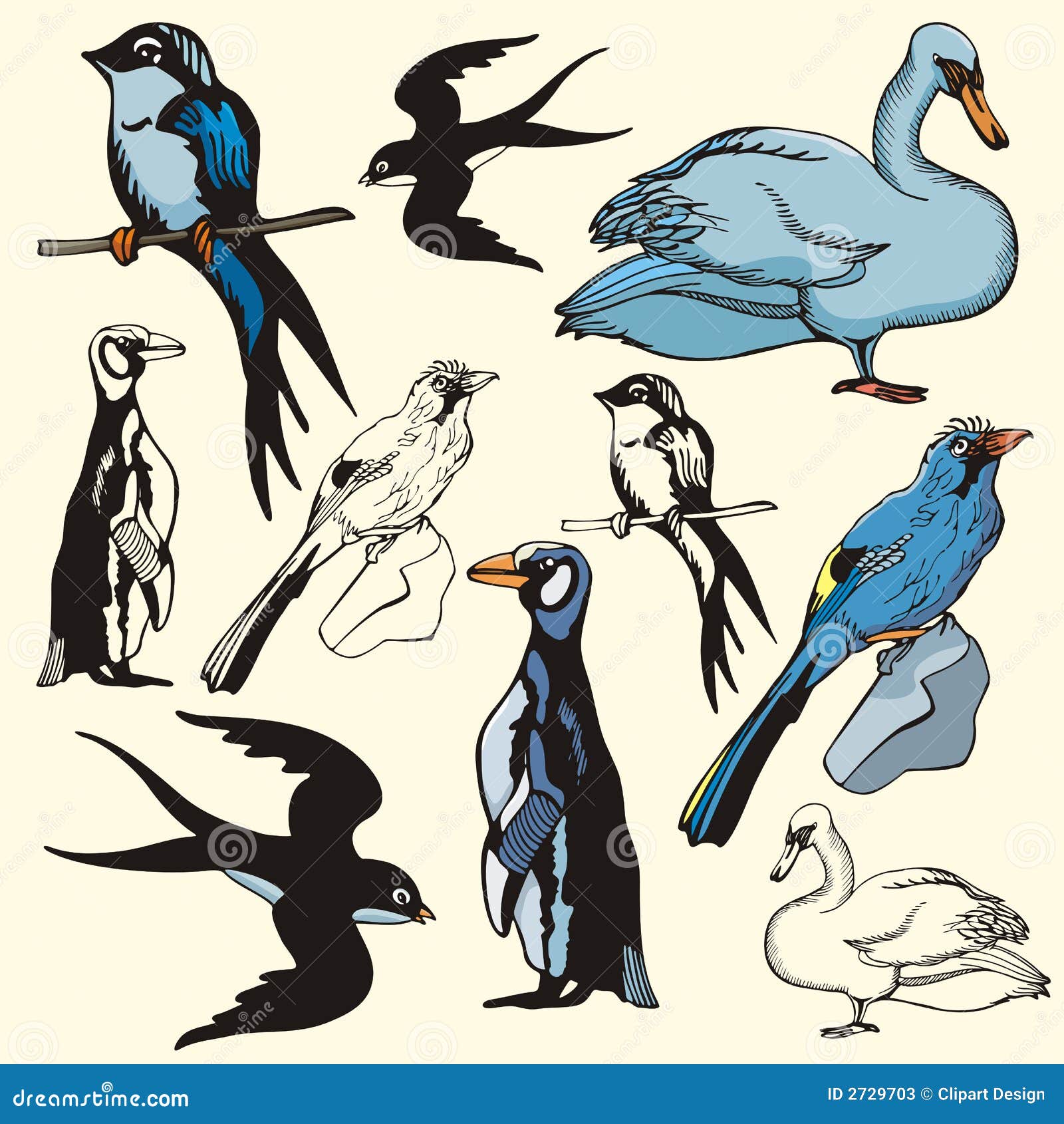 Bird illustration series stock vector. Illustration of claw - 2729703