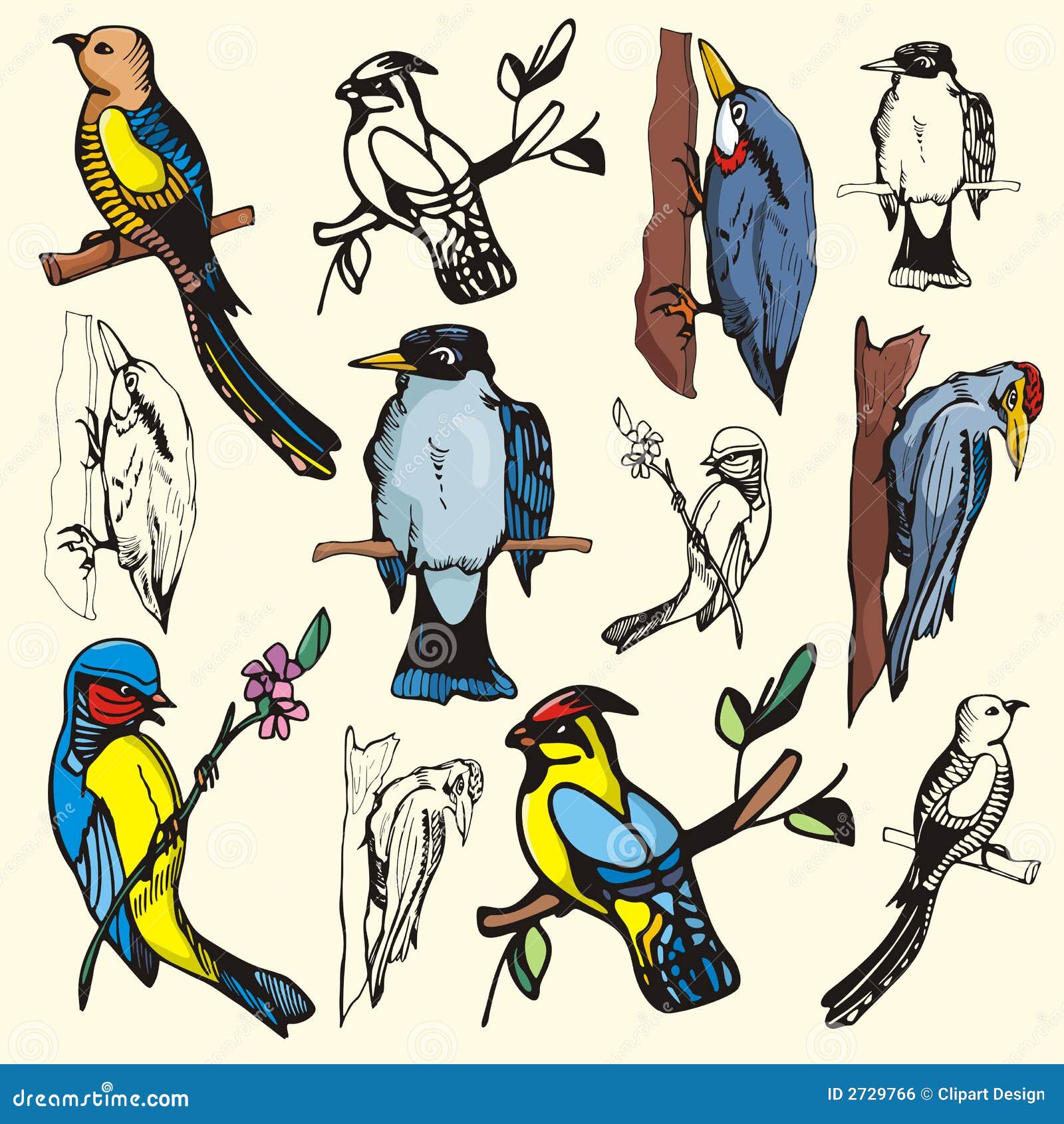 Bird illustration series stock vector. Illustration of design - 2729766