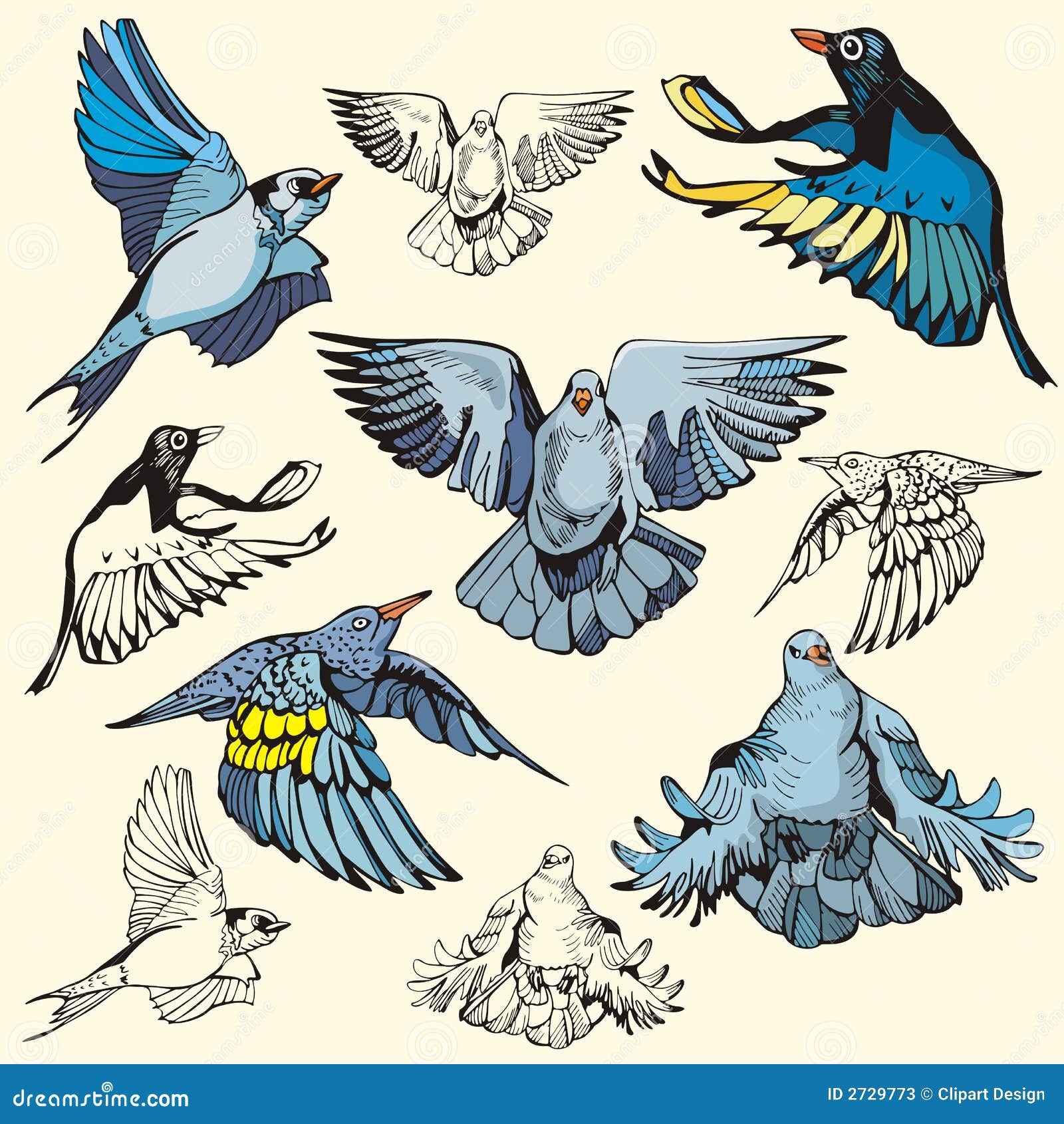 Bird illustration series stock vector. Illustration of ecology - 2729773