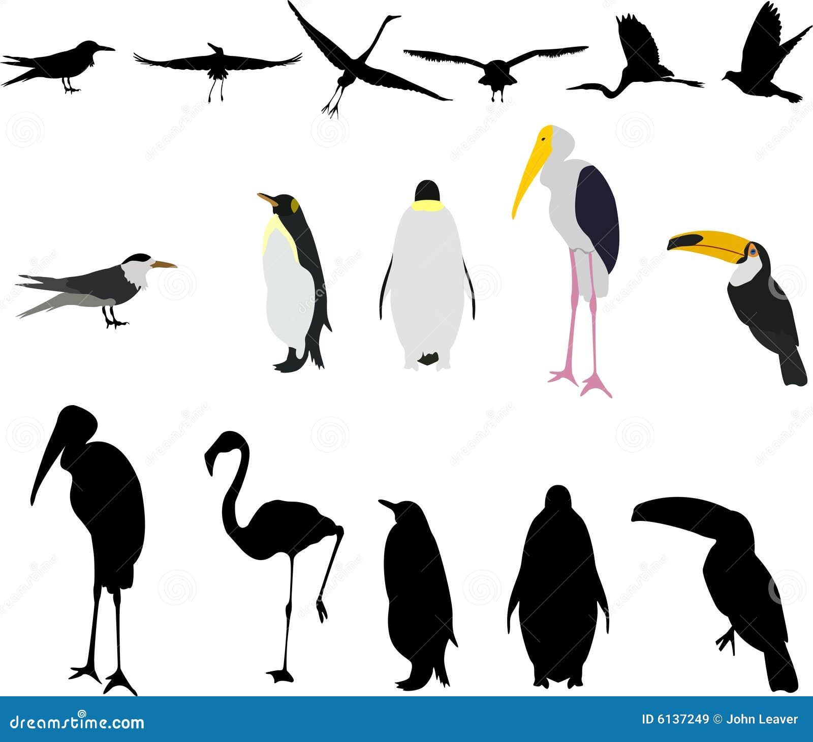Bird illustrations stock vector. Illustration of animals - 6137249
