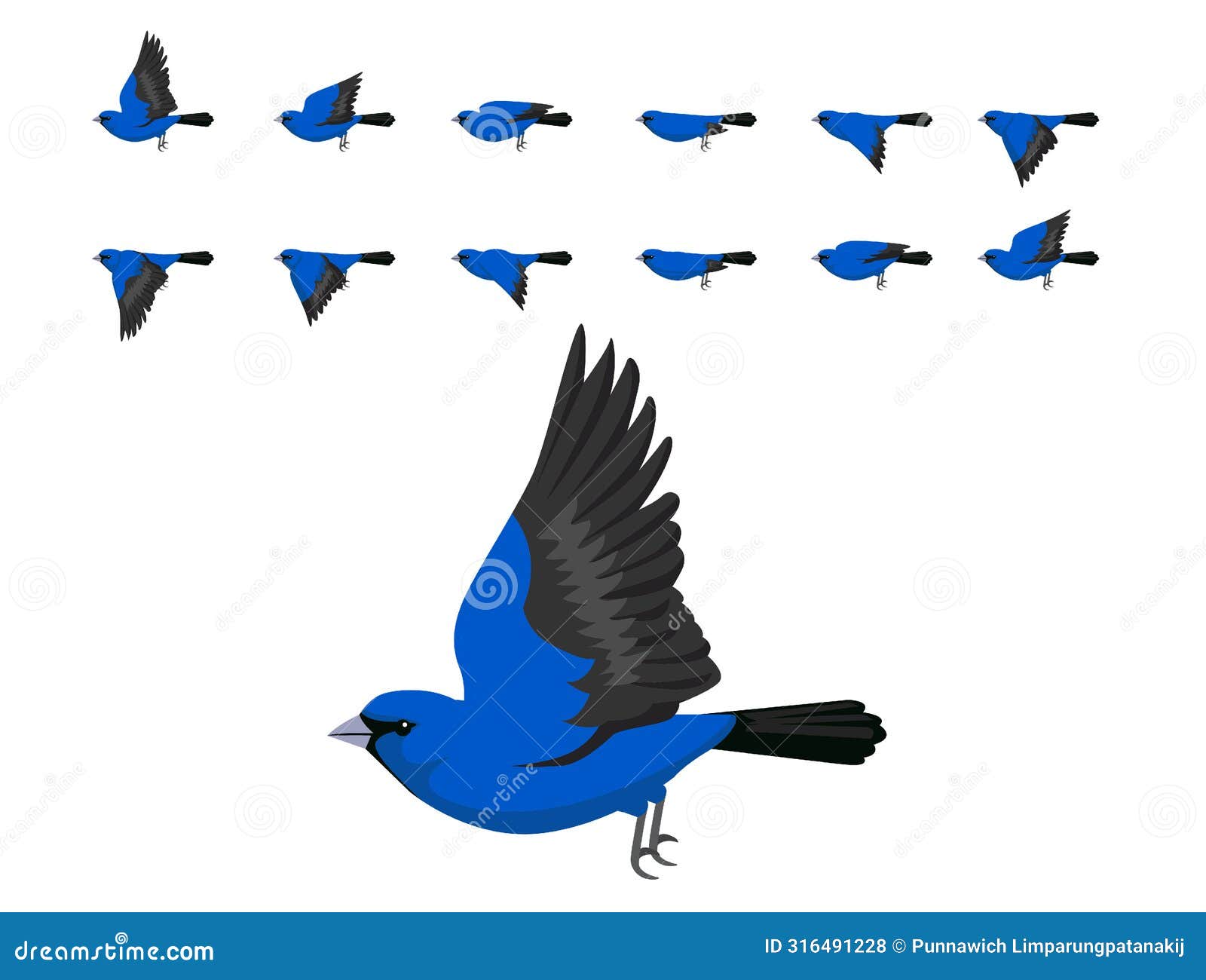 Bird Indigo Bunting Flying Animation Sequence Cartoon Vector Stock ...