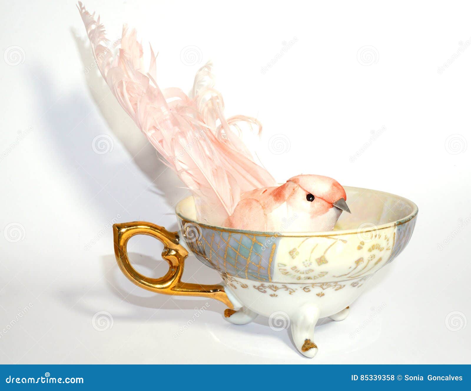 Bird Inside Antique Tea Cup Stock Photo - Image of drink, crockery ...