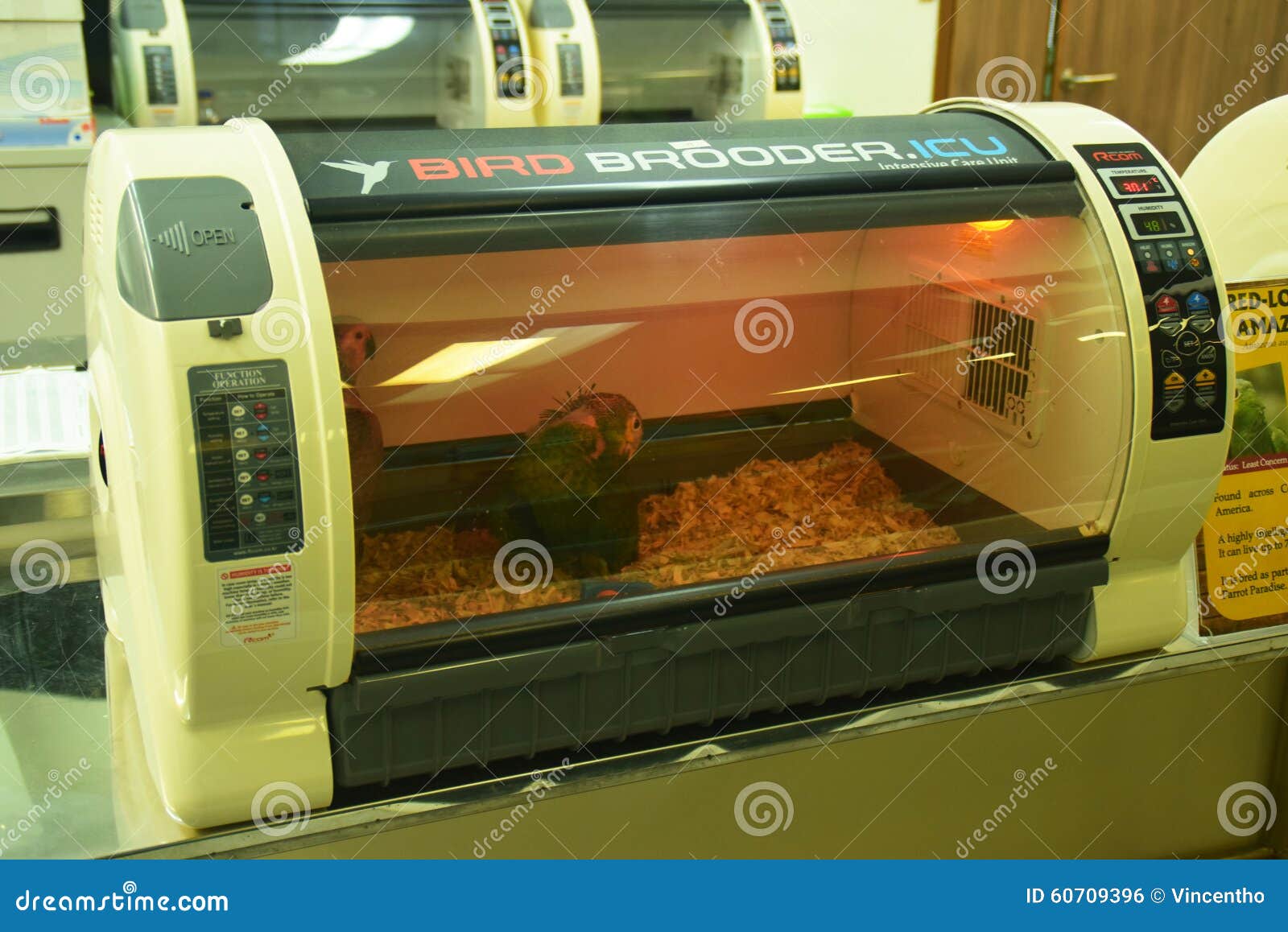 Bird Intensive Care Unit editorial photo. Image of bird - 60709396