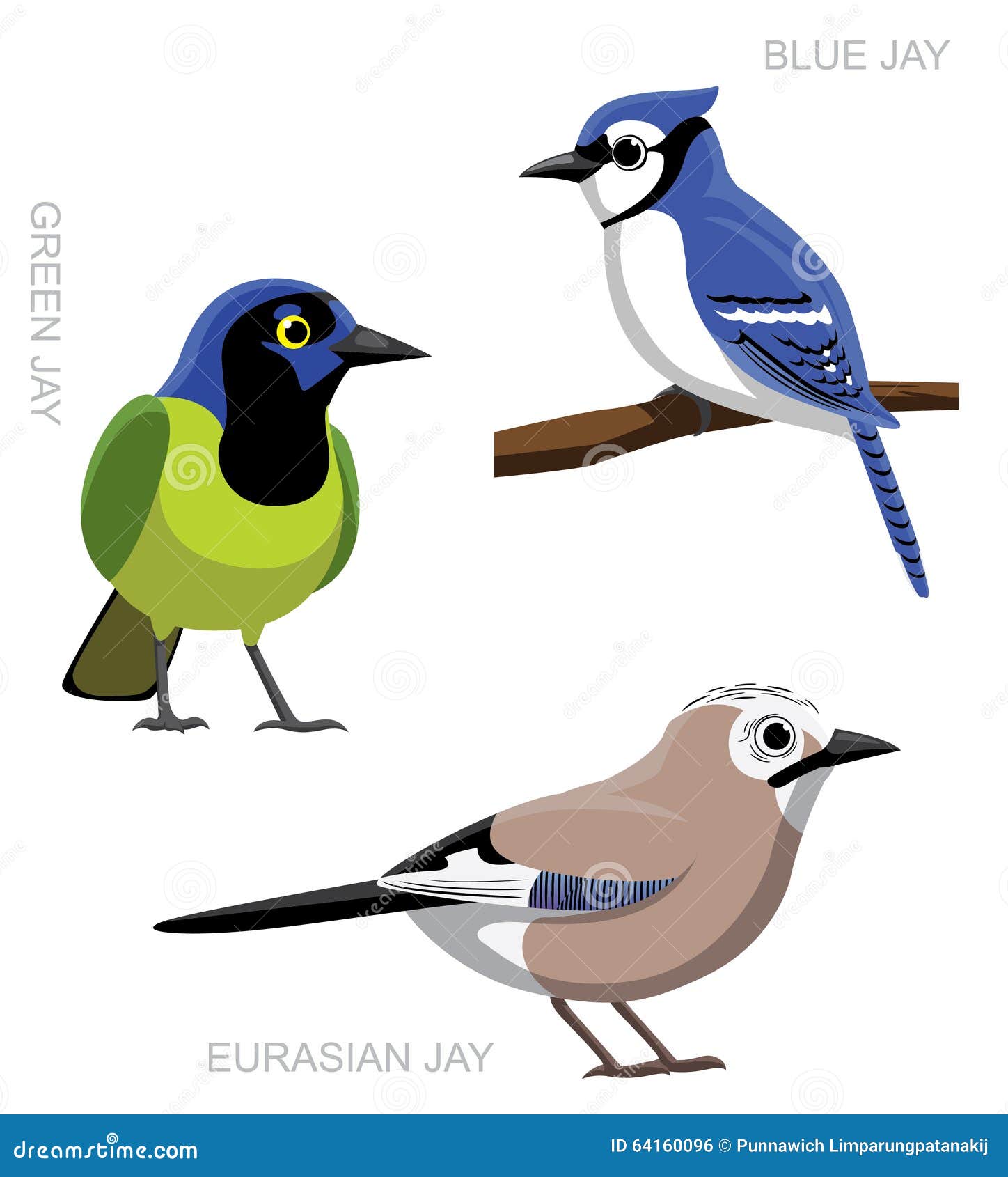 Bird Jay Set Cartoon Vector Illustration Stock Vector - Illustration of ...
